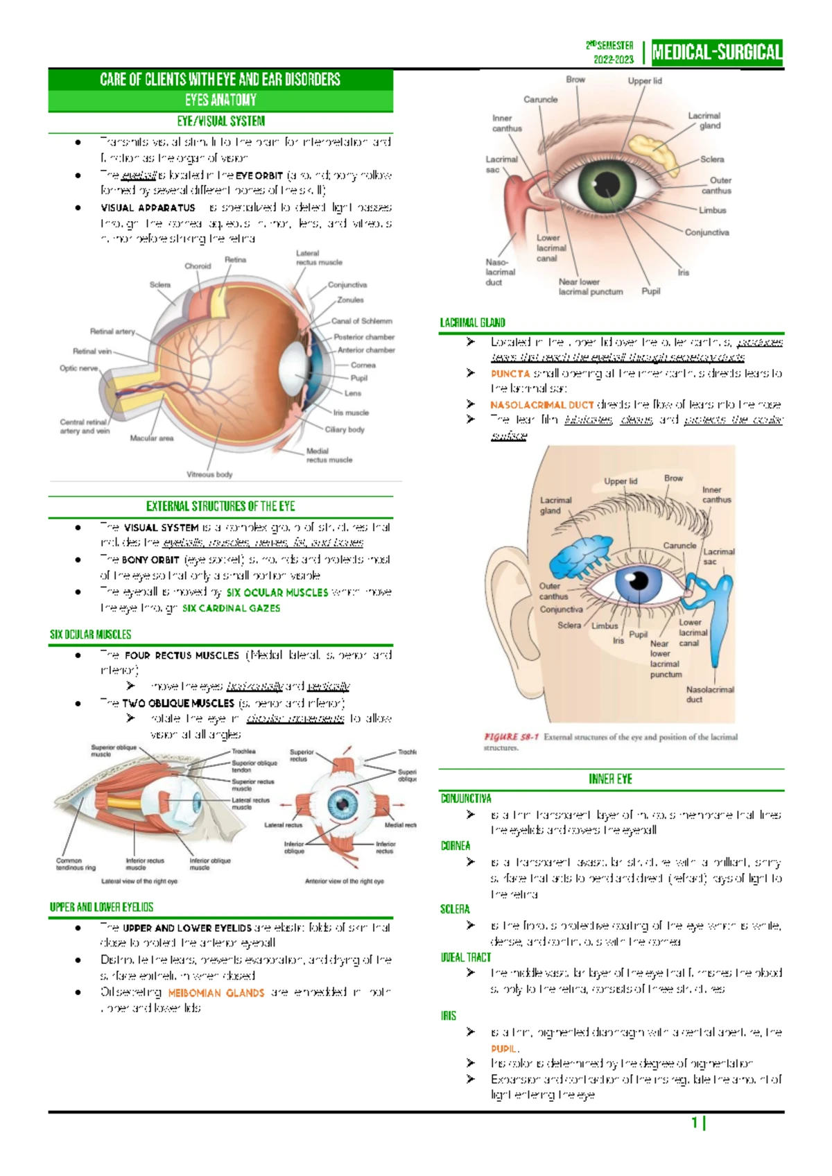 2ND-SEM Eye Ear - Comprehensive Lecture Notes on Vision and Hearing ...