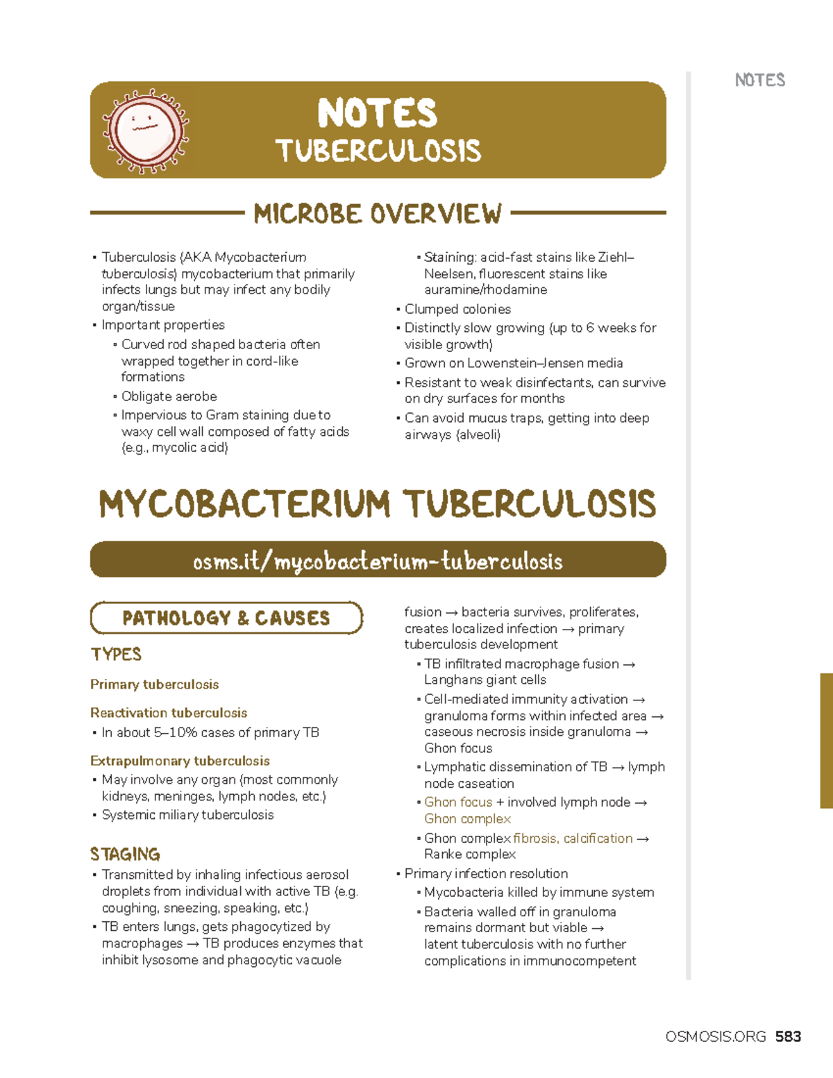 Microbiology of Tuberculosis: Key Notes and Insights - Studocu