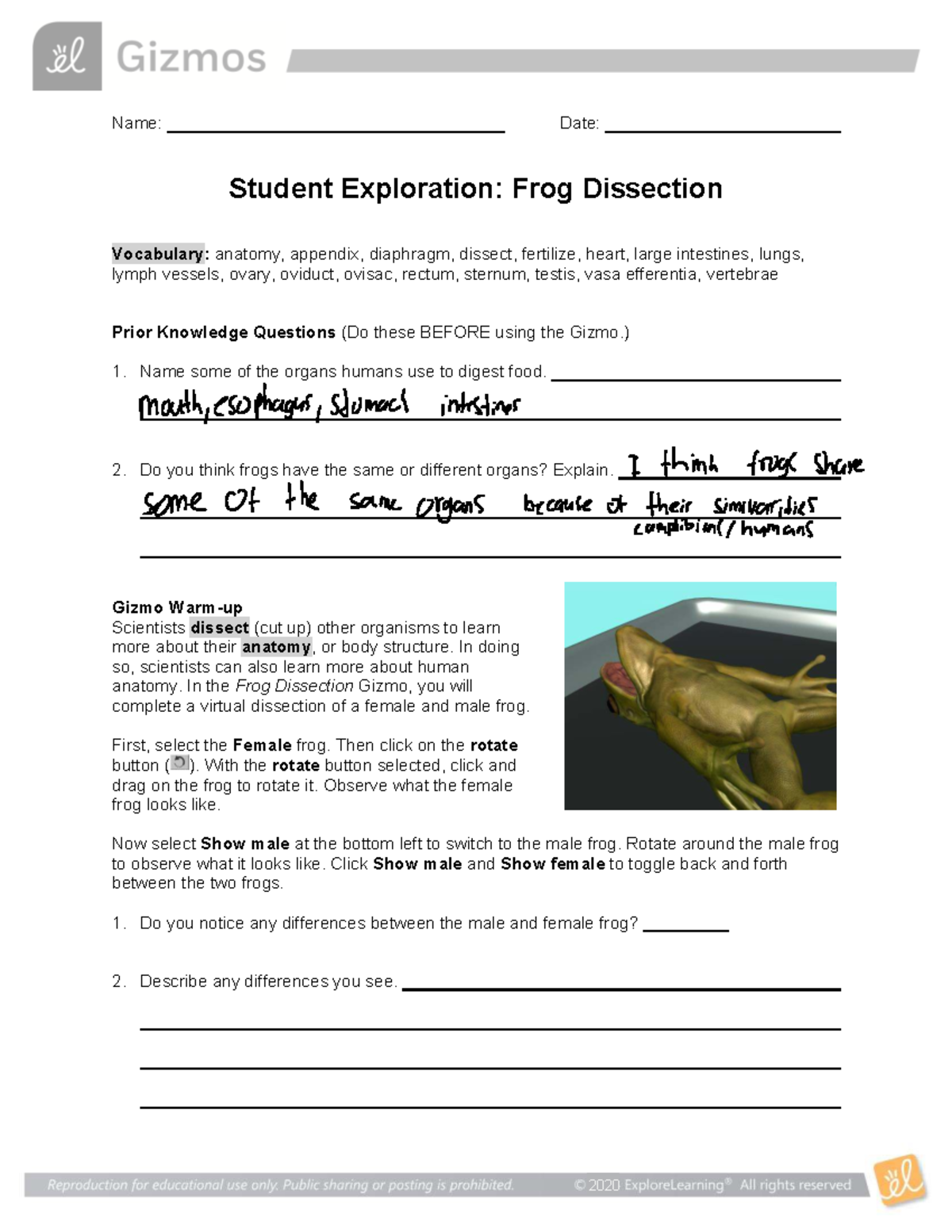 Frog Dissection SE (2020) - Vocabulary & Anatomy Insights - Studocu