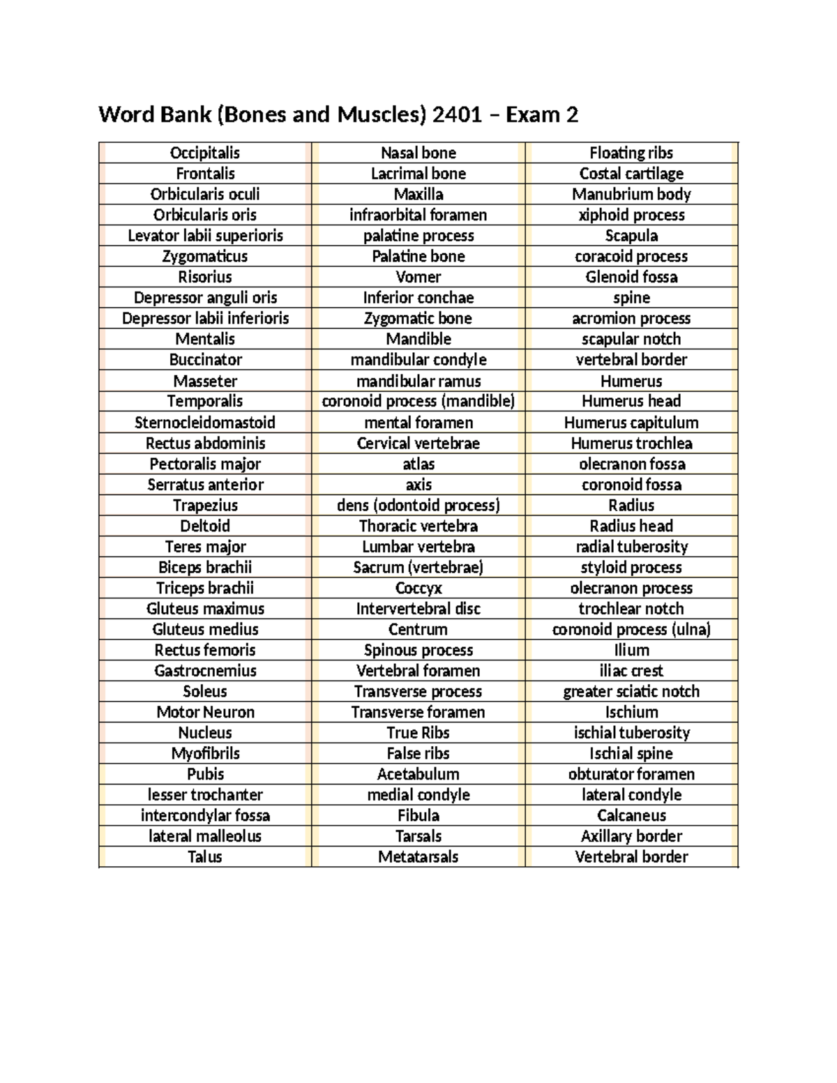 Bones and Muscles Word Bank - 2401 Exam 2 Study Guide - Studocu