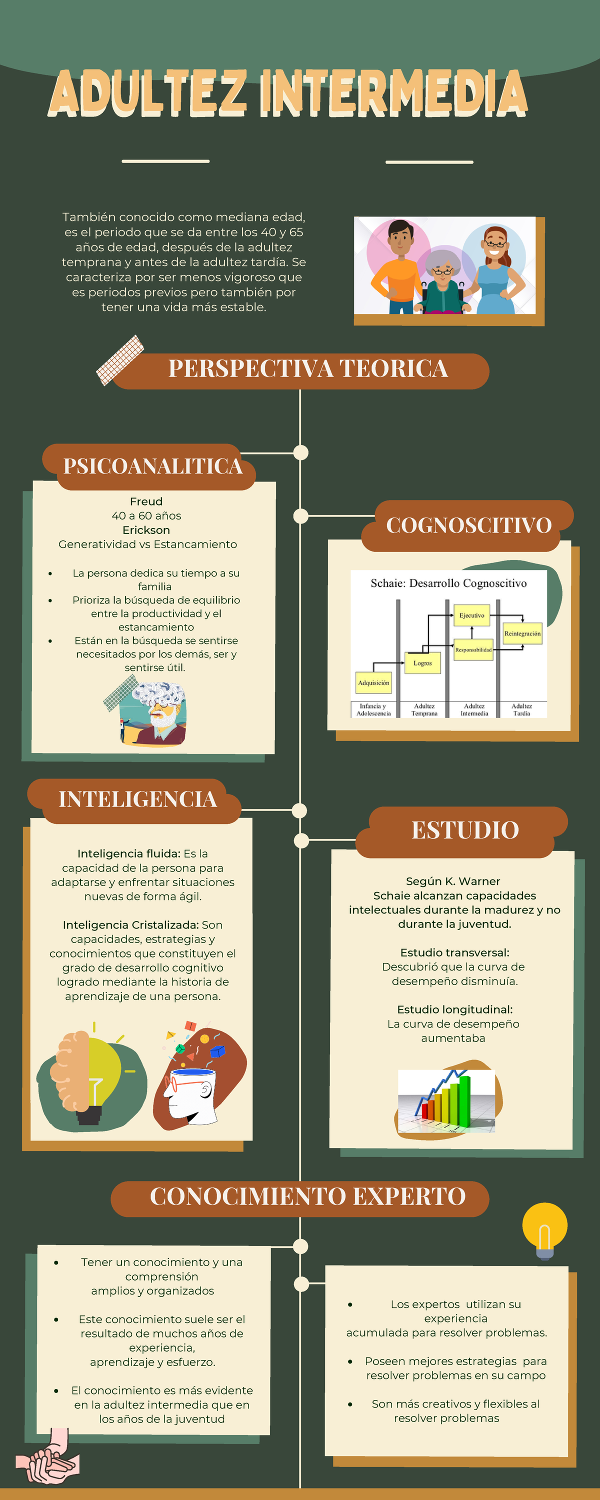 Adultez Intermedia - Infografía sobre la Adulto Intermedio - La persona dedica su tiempo a su ...