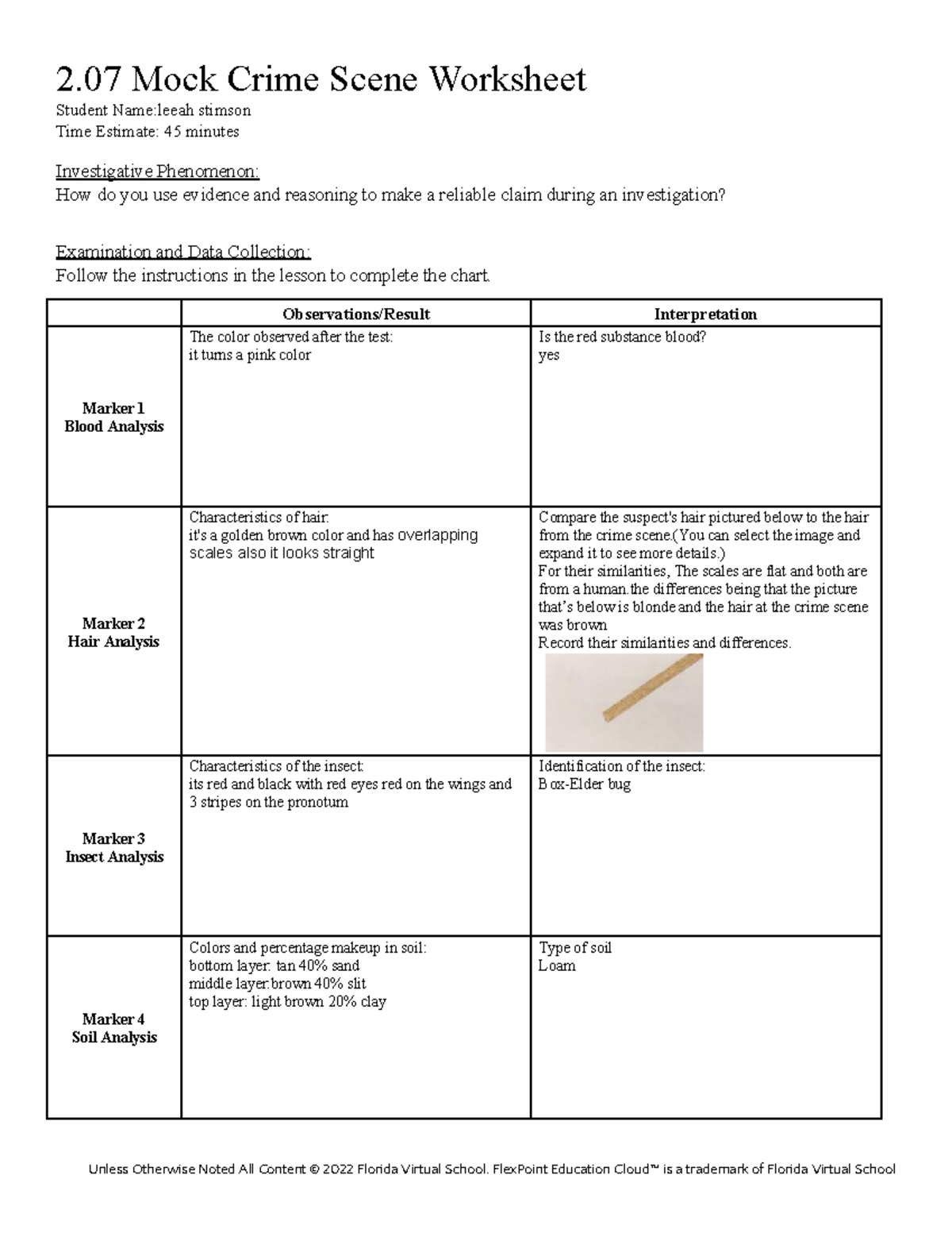 2.07 Mock Crime Scene Worksheet: Evidence Analysis & Investigation ...
