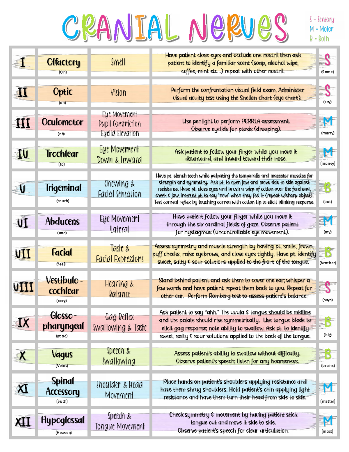 Cranial Nerves Study Guide: Assessment Techniques and Tests - Studocu