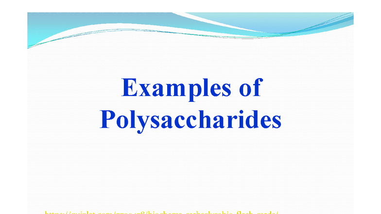 Cho2 - Polysaccharides: Structure, Function, and Classification - Studocu