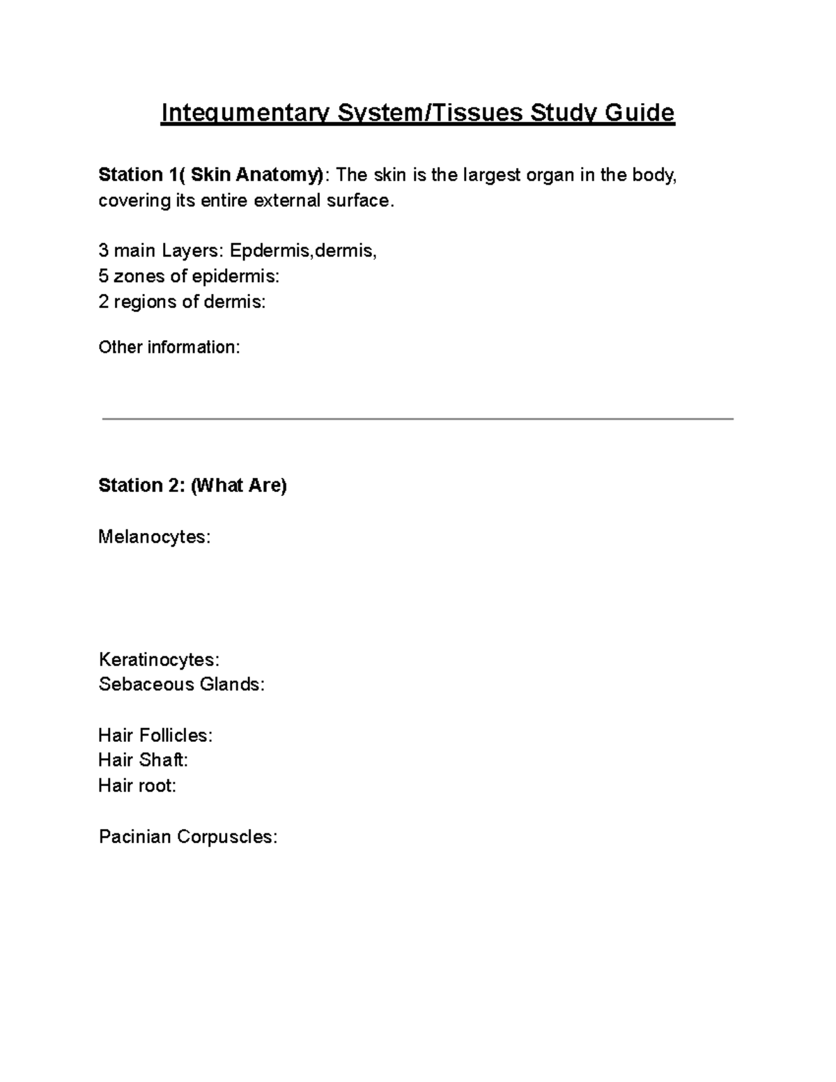 Integumentary System Study Guide (BIO 101): Skin Anatomy & Tissues ...