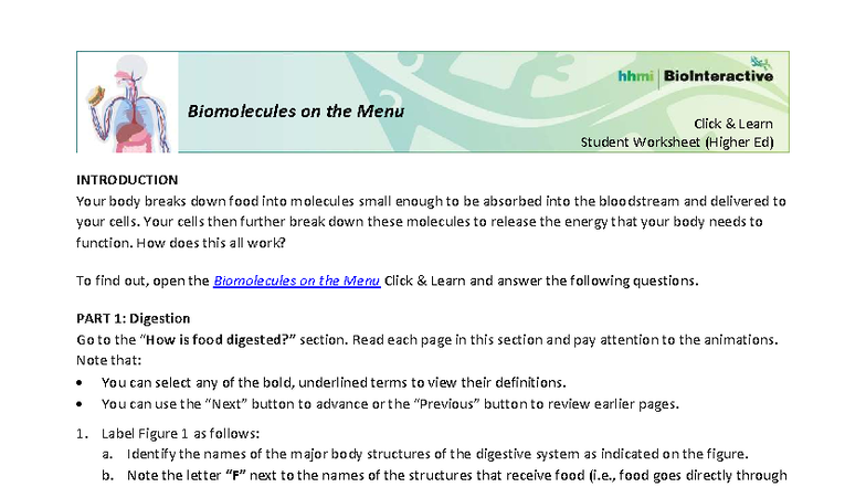 Biomolecules on the Menu: Student Worksheet for Higher Ed (Aug 2023 ...
