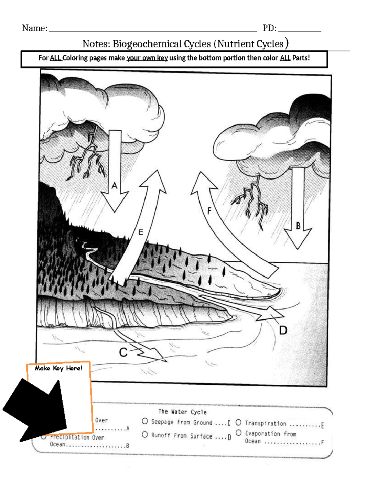 Caiden Jones - Notes - Nutrient Cycles (Biogeochemical) - Studocu