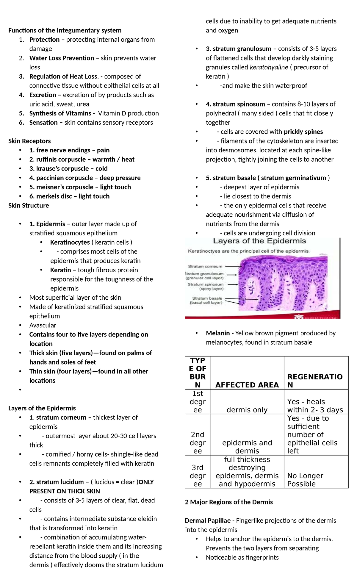 Chapter 5: Integumentary System Functions and Structures - Studocu
