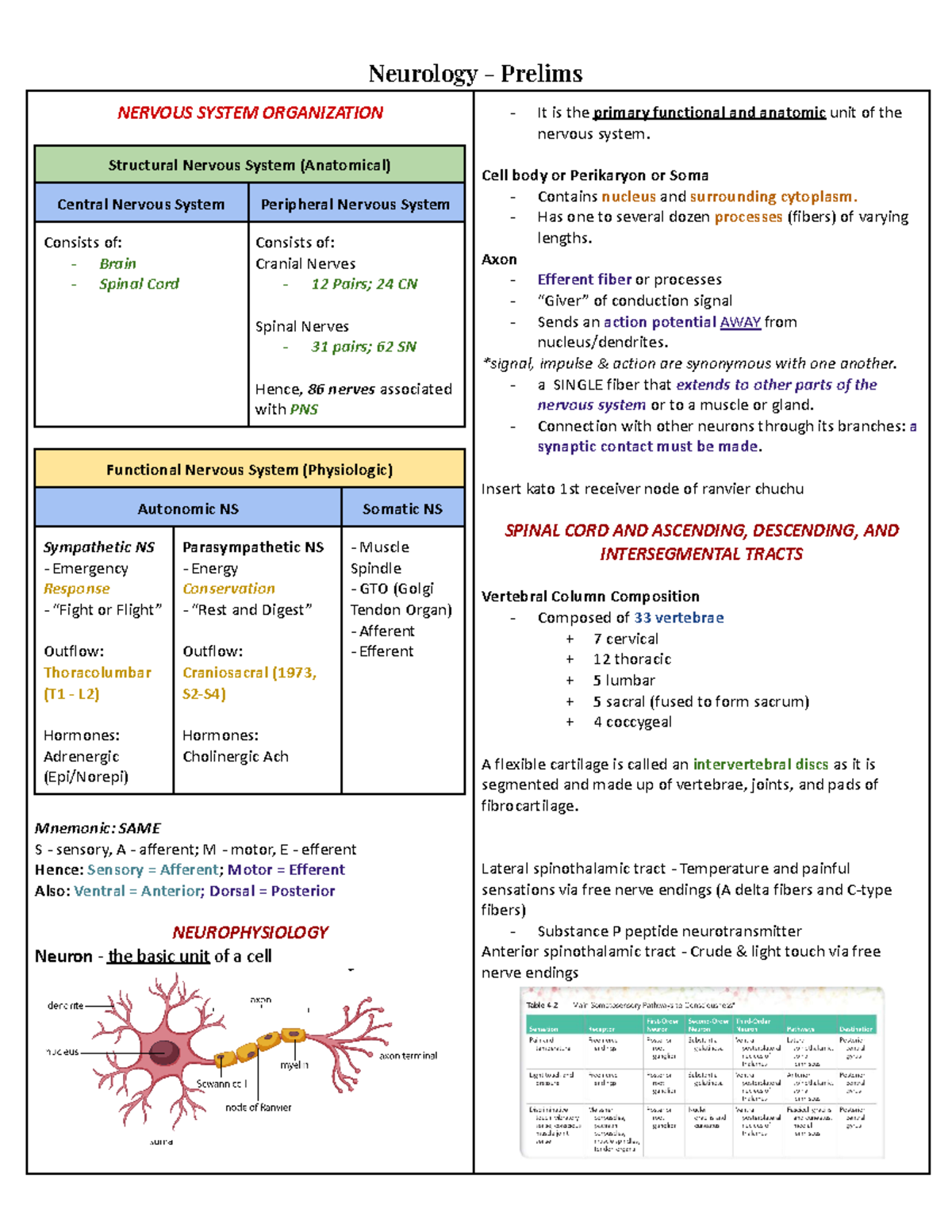 Neurology 101 - Anatomy of the Nervous System Overview - Studocu