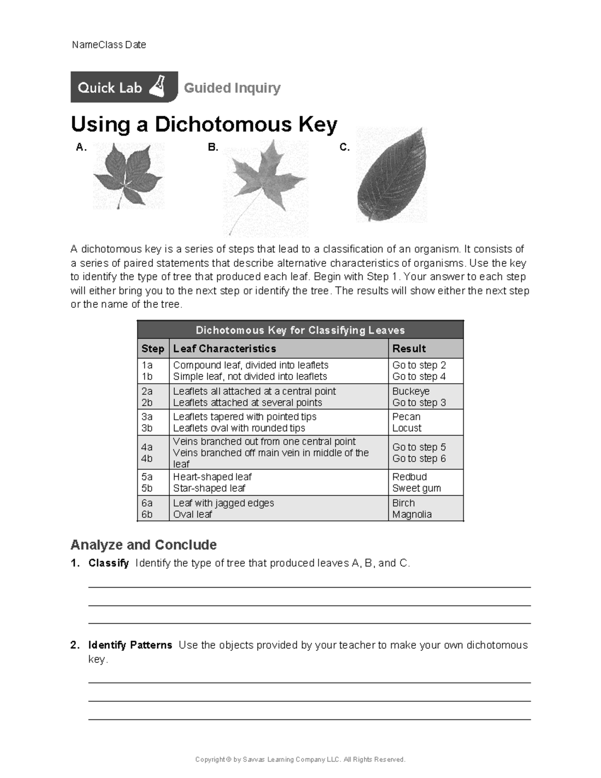 BIO CH19 Quick Lab: Using a Dichotomous Key for Leaf Classification ...