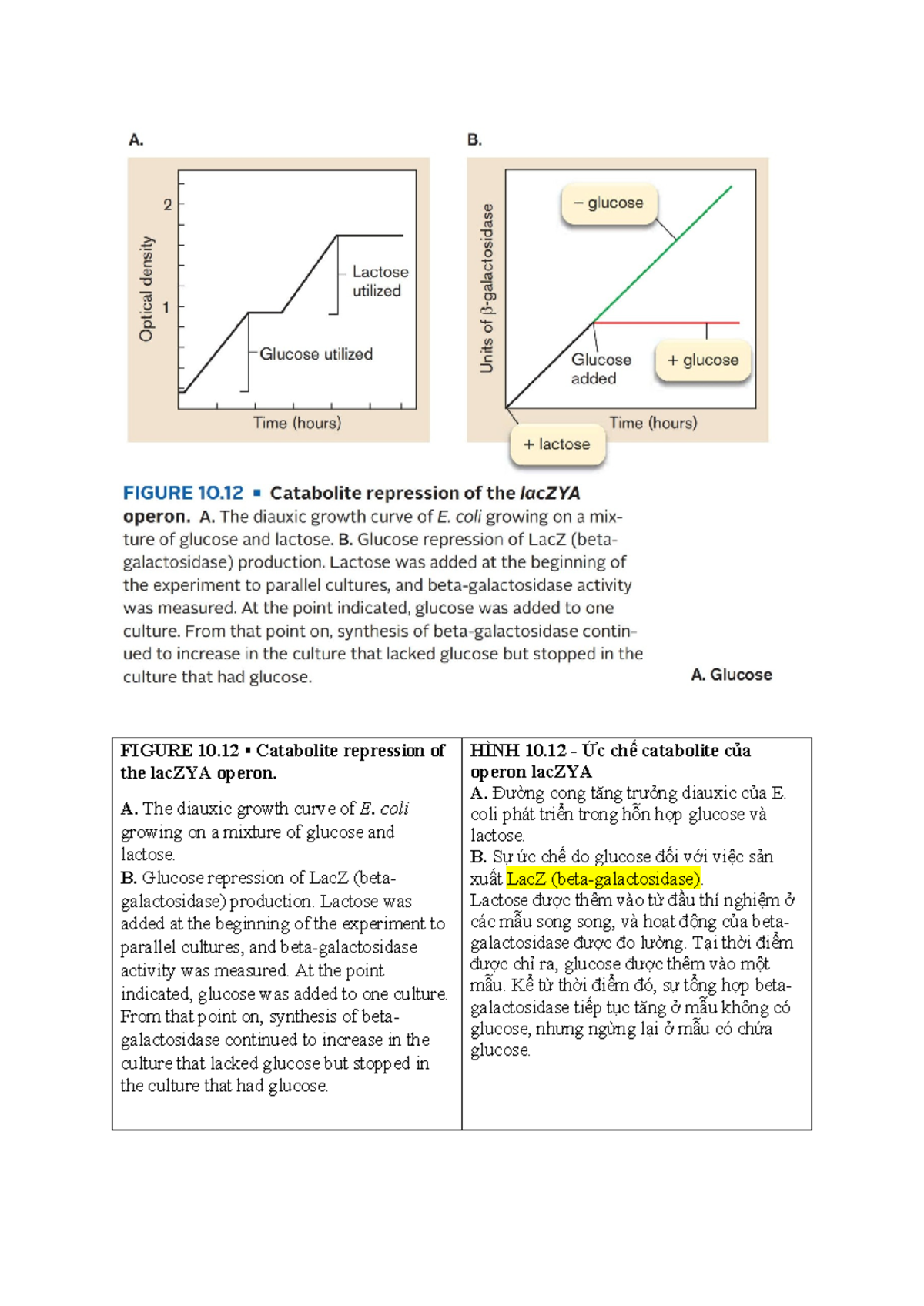 Trả lời câu hỏi của ĐQT - Trả lời câu hỏi của ĐQT. - FIGURE 10 ...