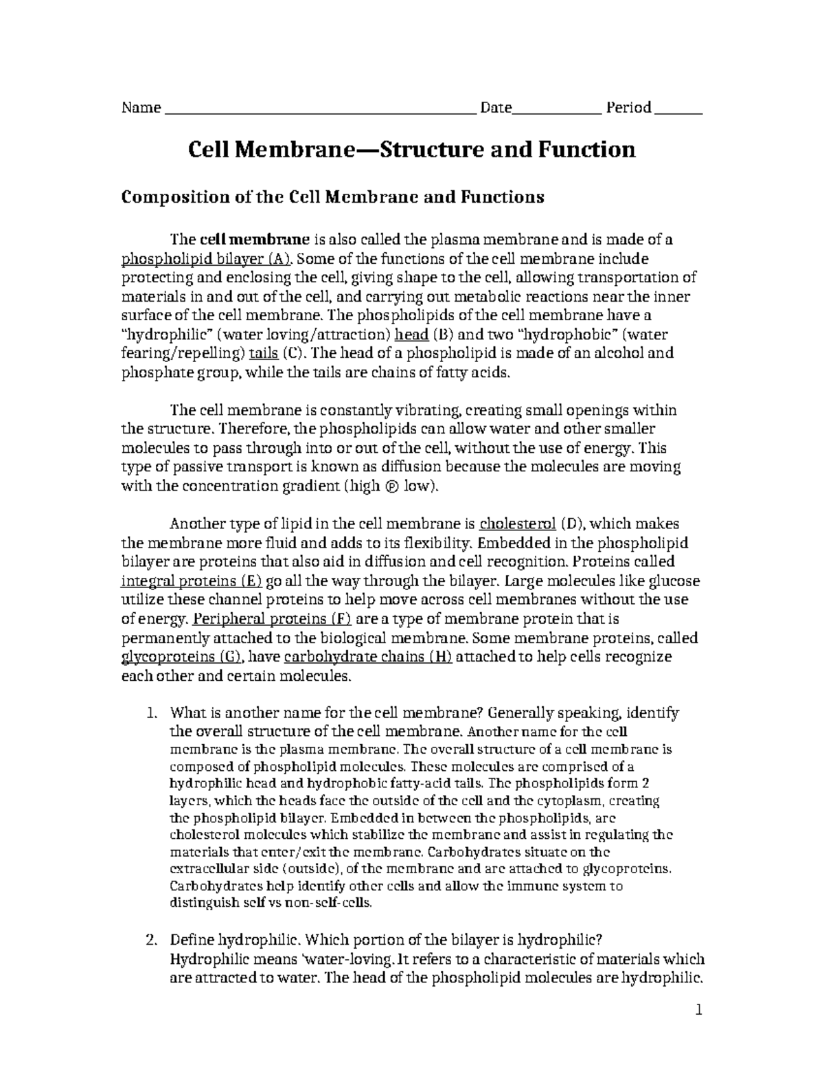 Cell Membrane Structure & Function (Bio 101) - Studocu