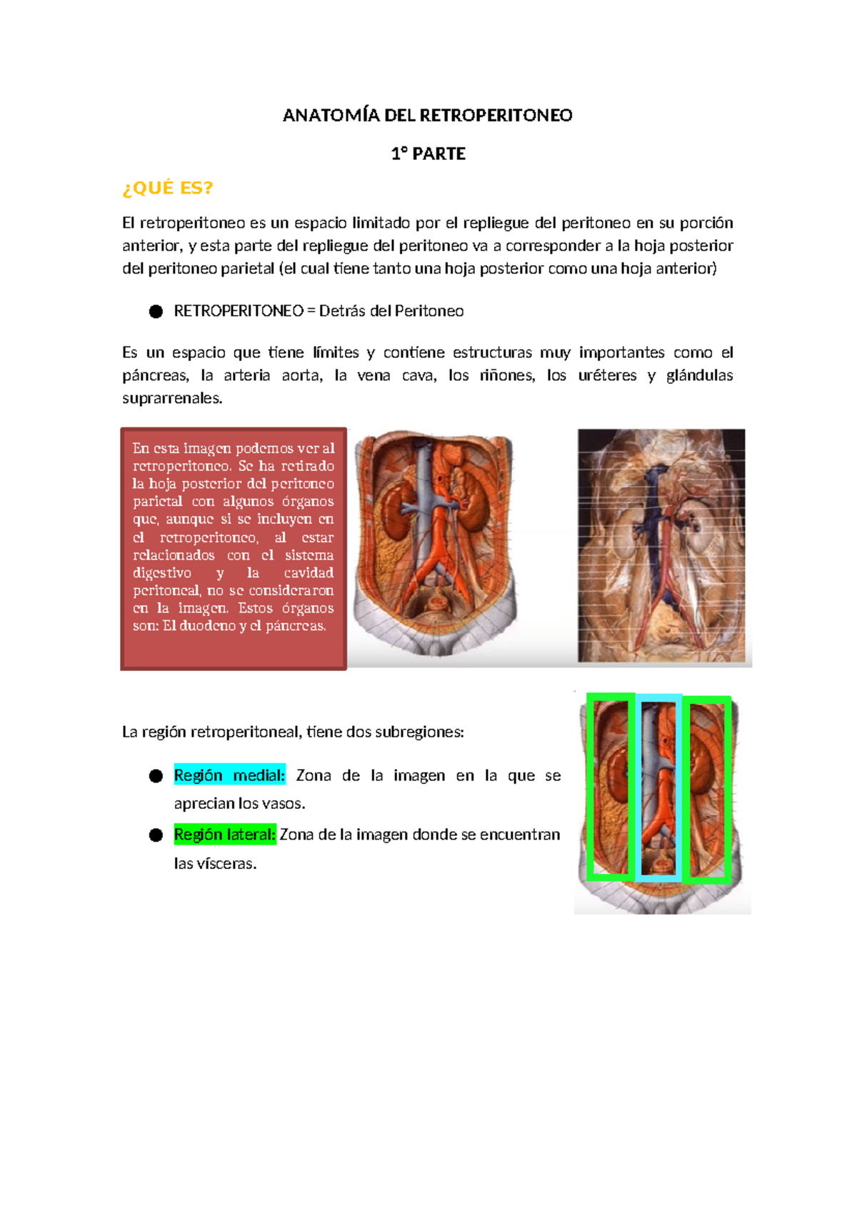Anatomía del Retroperitoneo: Estructuras y Funciones Clínicas 1 - Studocu