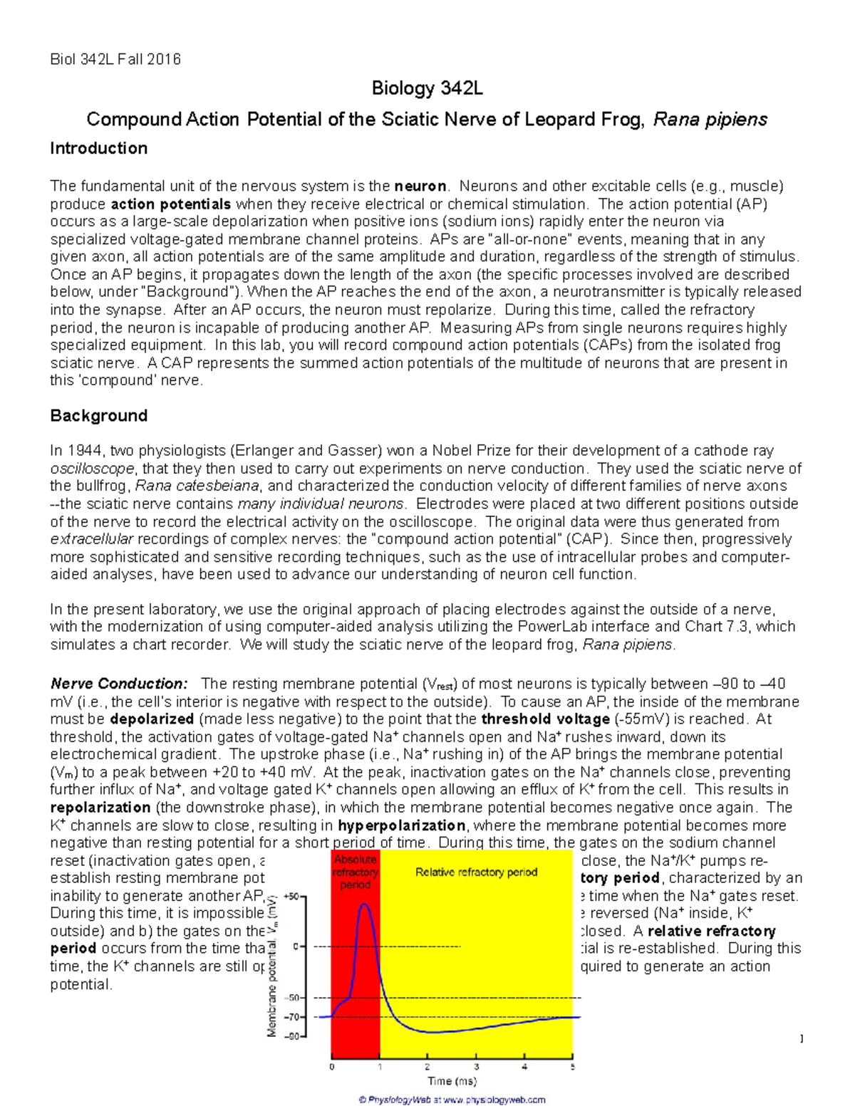 Compound Action Potential Lab Report - Biology 342L Compound Action ...