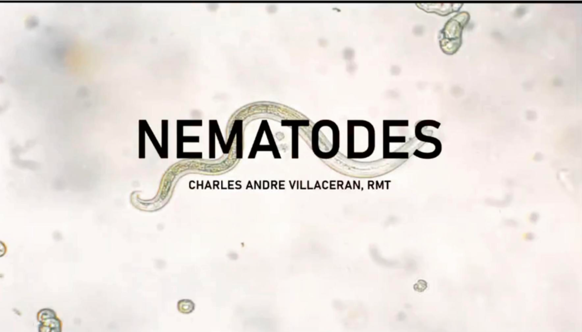 Parasitology LAB: Nematodes Overview and Infection Insights - Studocu