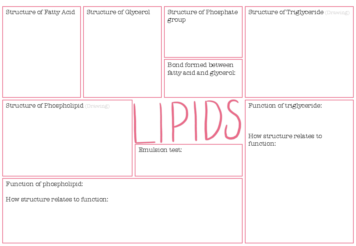 A Level Lipids Revision - Structure of Fatty Acid Structure of Glycerol ...