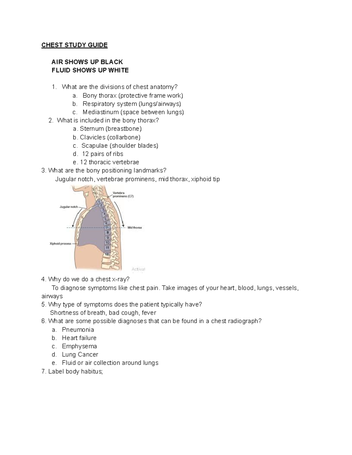Chest Anatomy and Radiographic Techniques Study Guide (Health 101 ...