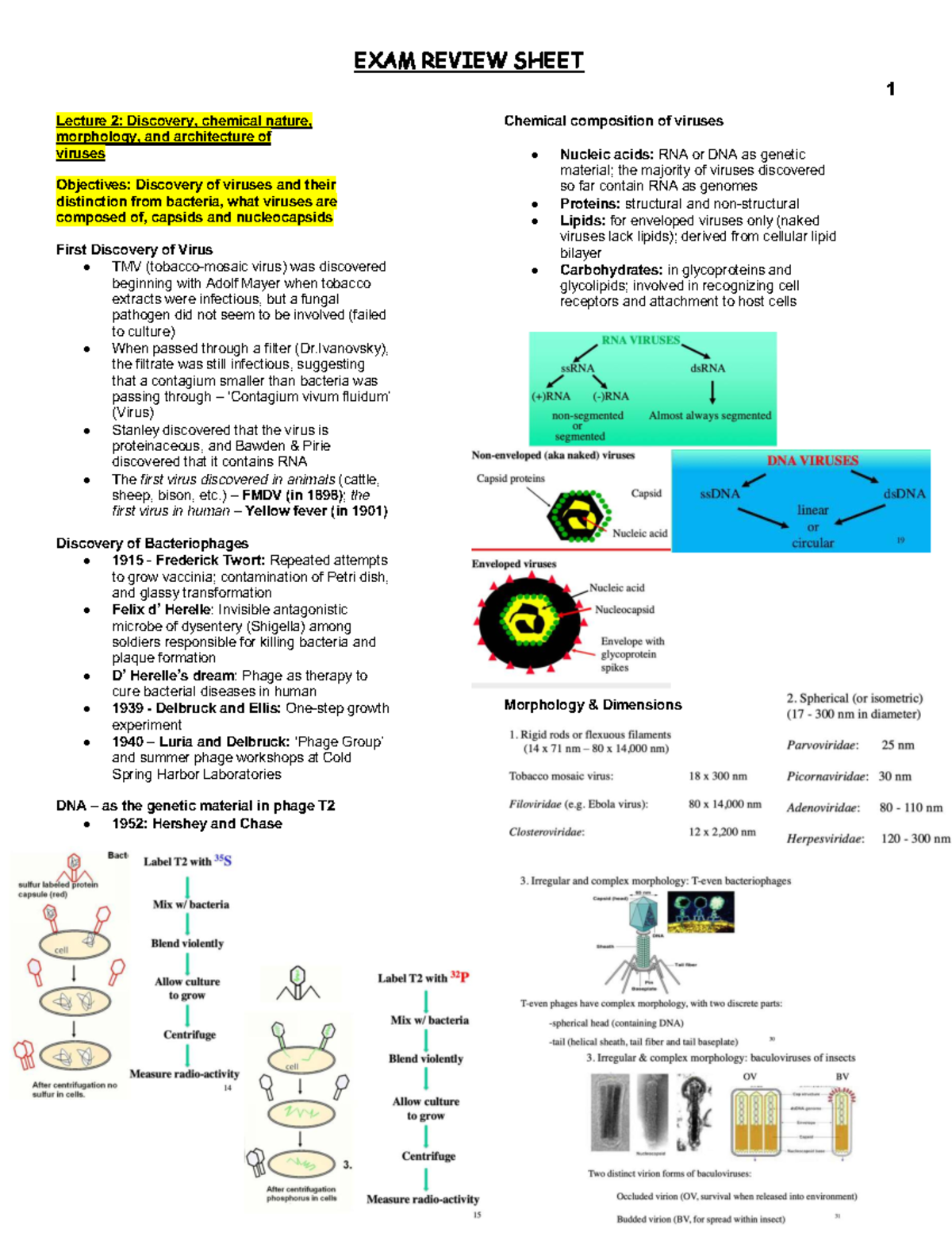 Final exam review - MICR 3330: Discovery and classification of viruses ...