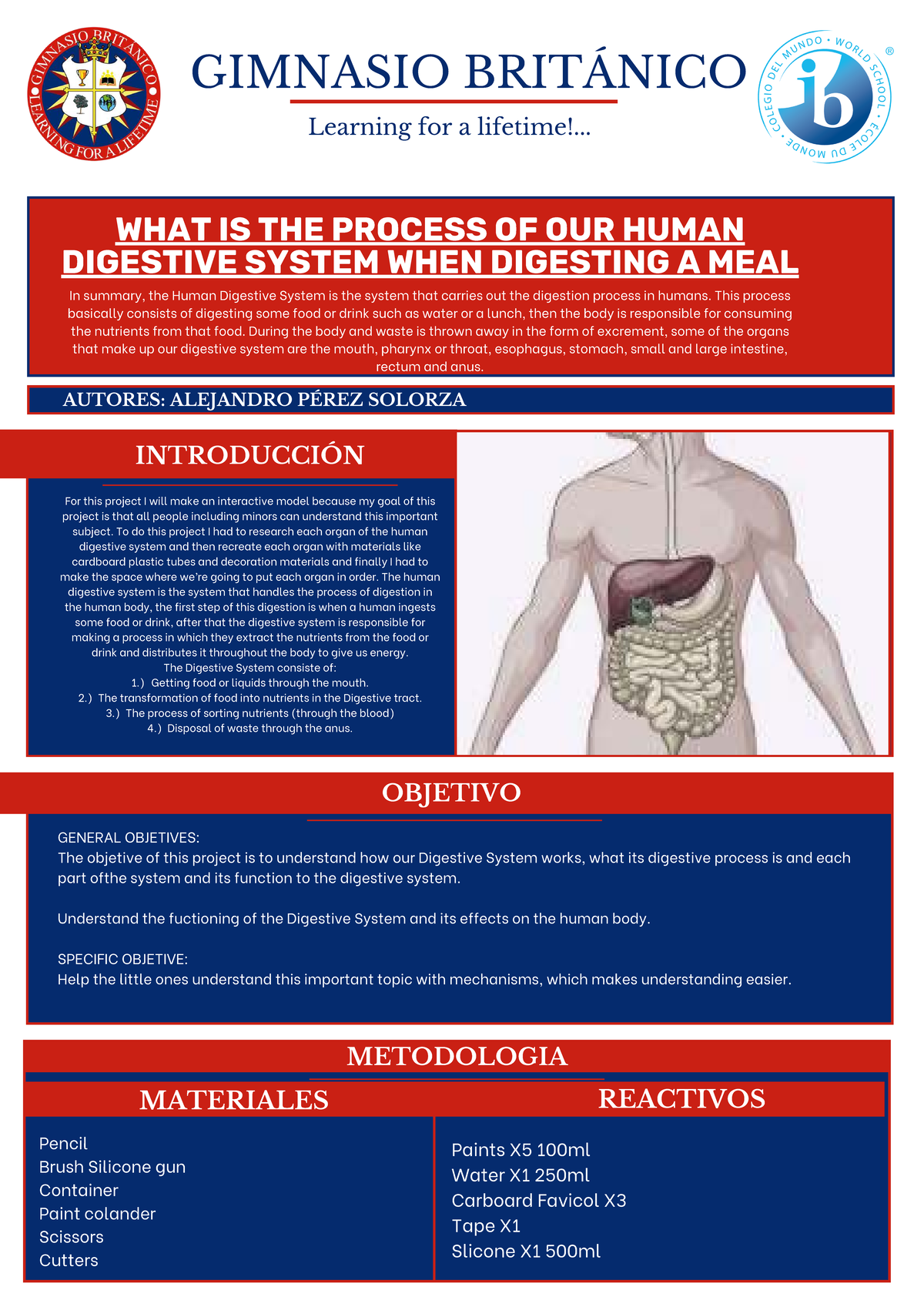 GIMNASIO BRITÁNICO: Digestive System Project Poster for 6th Grade - Studocu