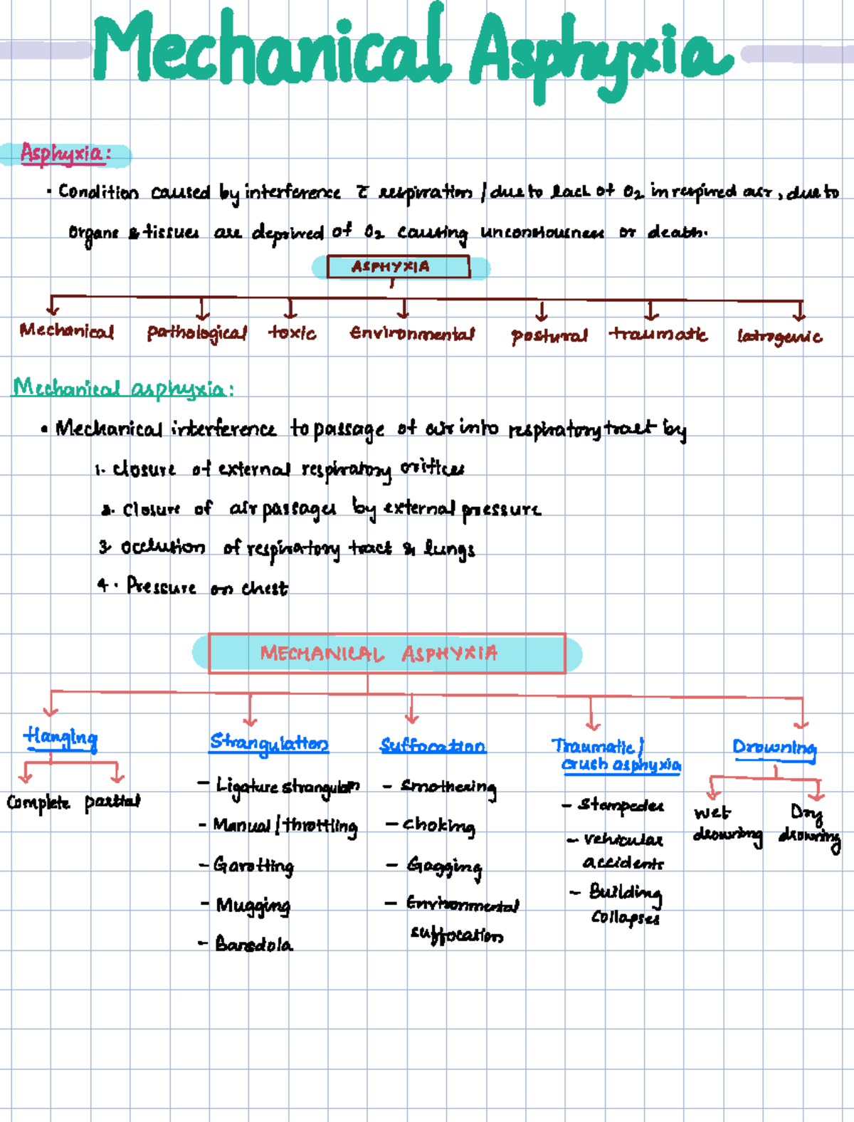 Mechanical Asphyxia: Understanding Causes, Types, and Postmortem ...