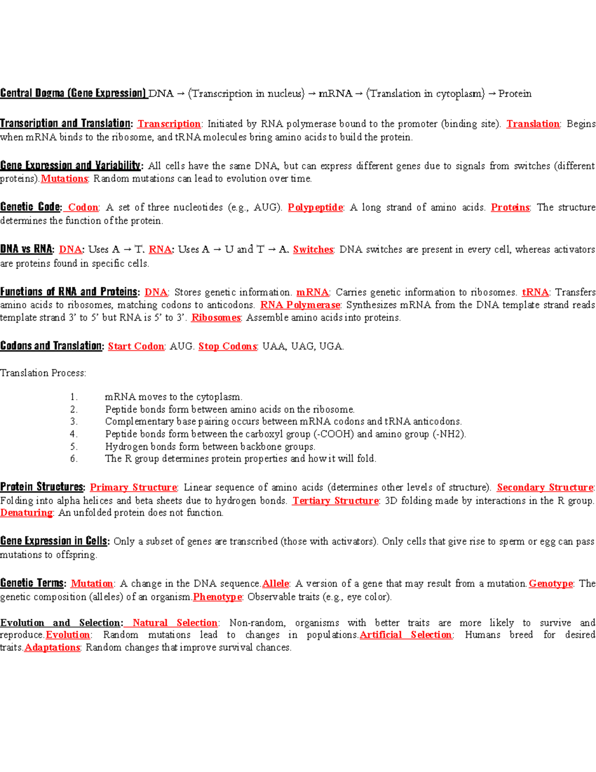 Bio 148 Exam 2 Study Guide: Central Dogma & Gene Expression - Studocu