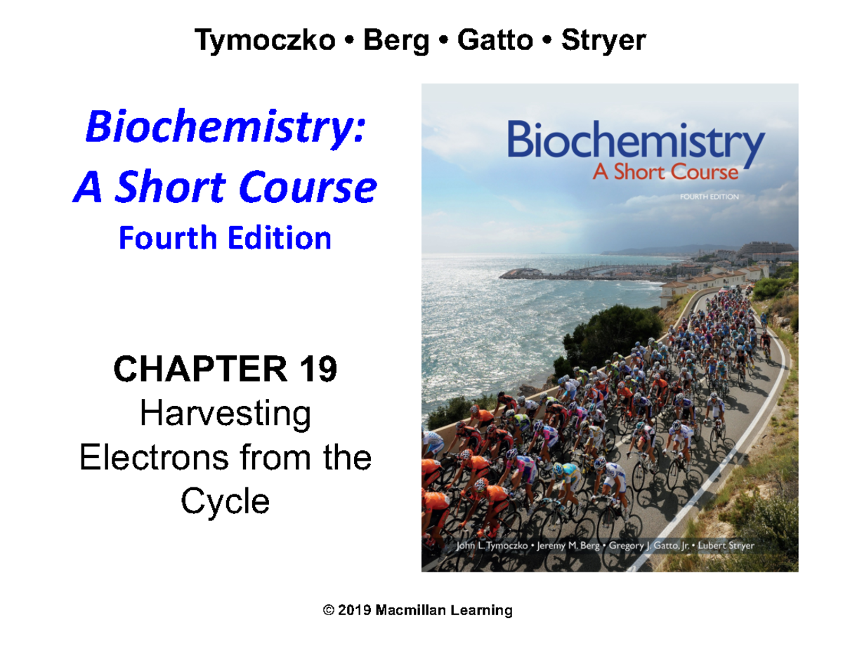 Chapter 19..CAC (Chapter 19) eqfo2einpi2ngp 2fkmne[p fj aml sm m saf ...