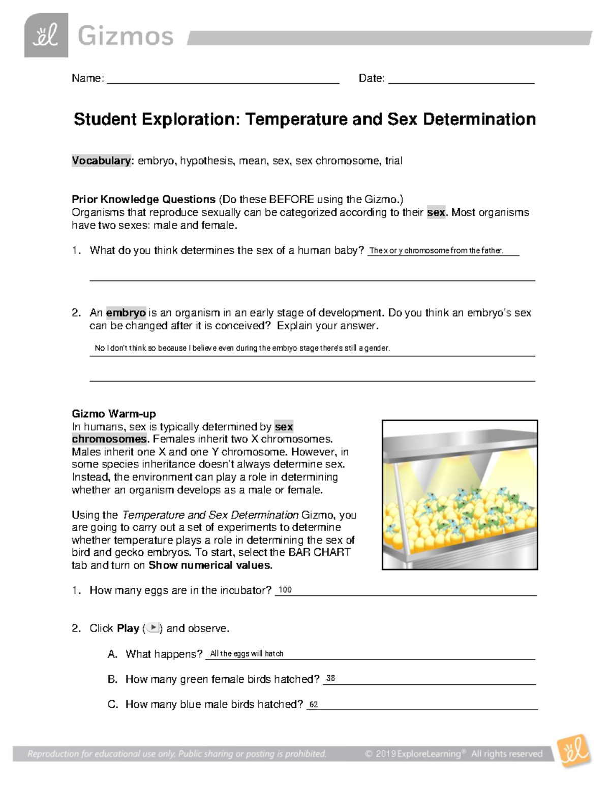 Temperature and Sex Determination: Bird & Gecko Experiments SE - Name ...
