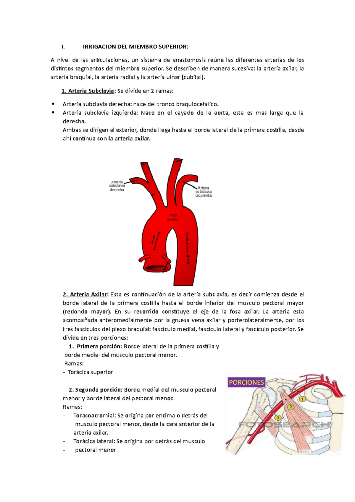 Plexo cardiaco - 2.3 PLEXO CARDIACO Consiste en conexiones que conectan ...