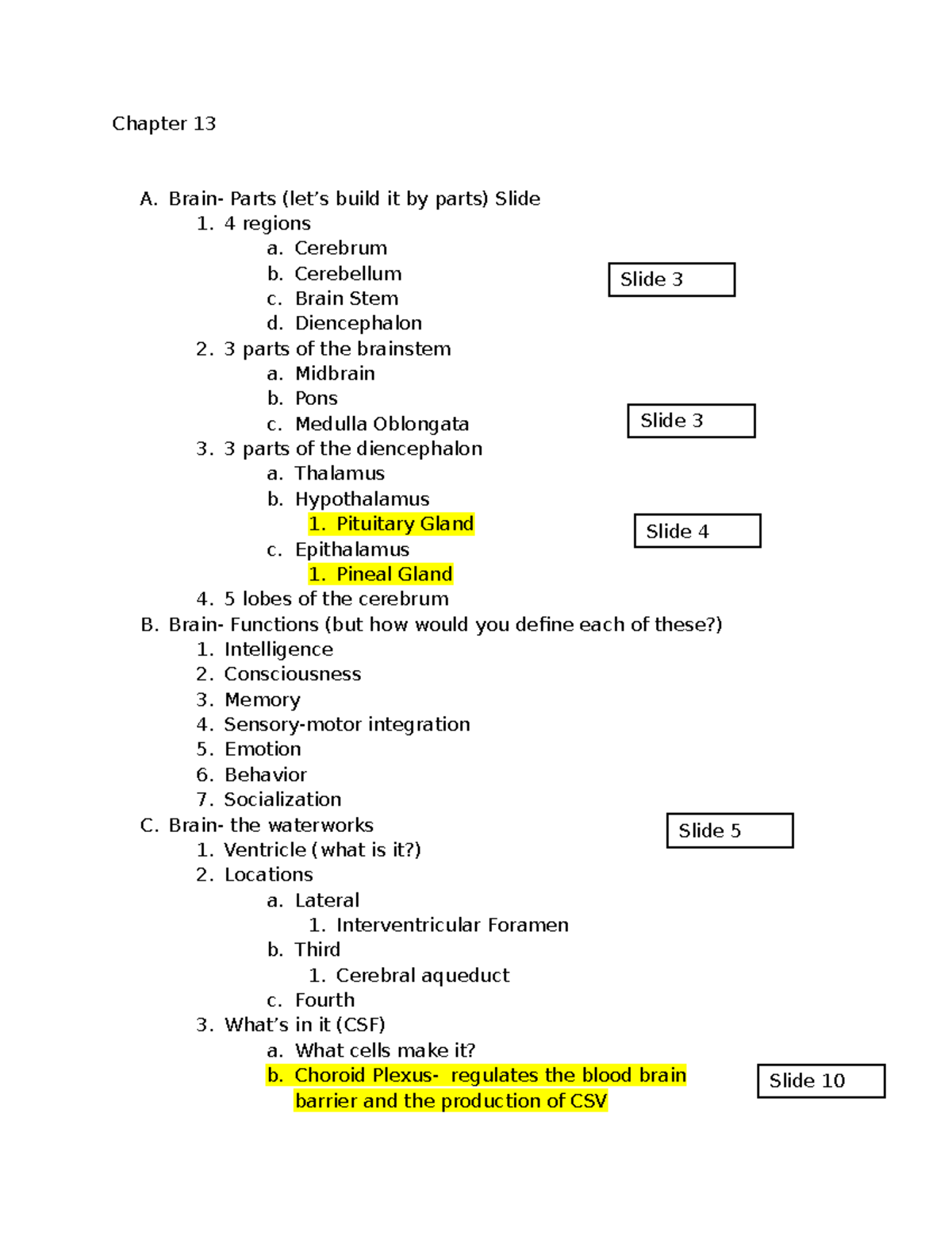 Chapter 13: Brain Structure and Function Outline Notes (Discussion 1 of ...