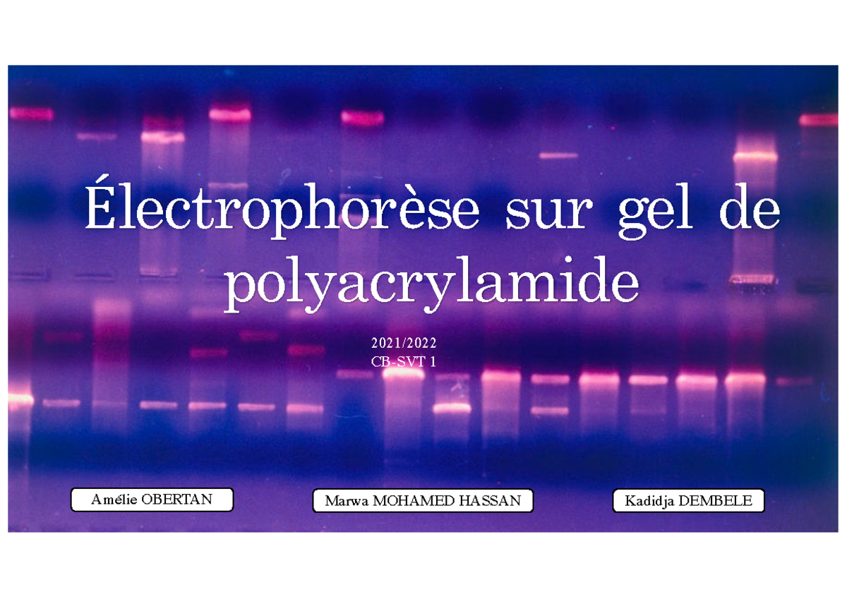 2021 FTO GP01 électrophorèse sur gel de polyacrylamide - Électrophorèse ...