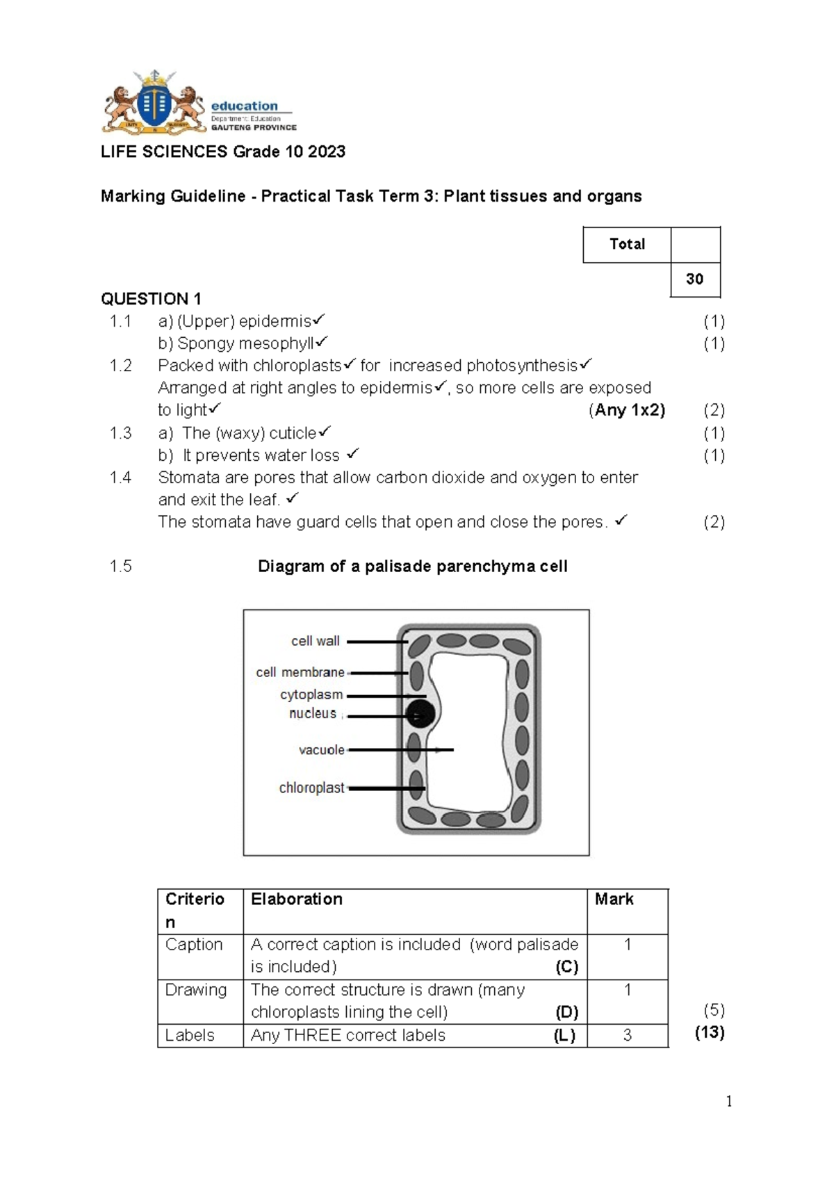 LIFE SCIENCES Grade 10 Term 3 Practical Task Marking Guideline - Studocu