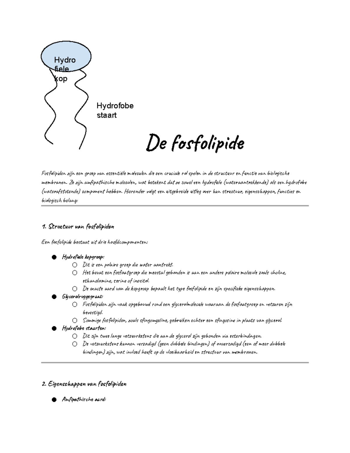 Fosfolipide gedetailleerd - De fosfolipide Fosfolipiden zijn een groep ...