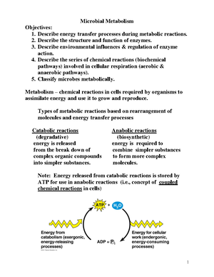 Virtual LAB Applying the Scientific Method - Pillbug Preference - 8/15 ...