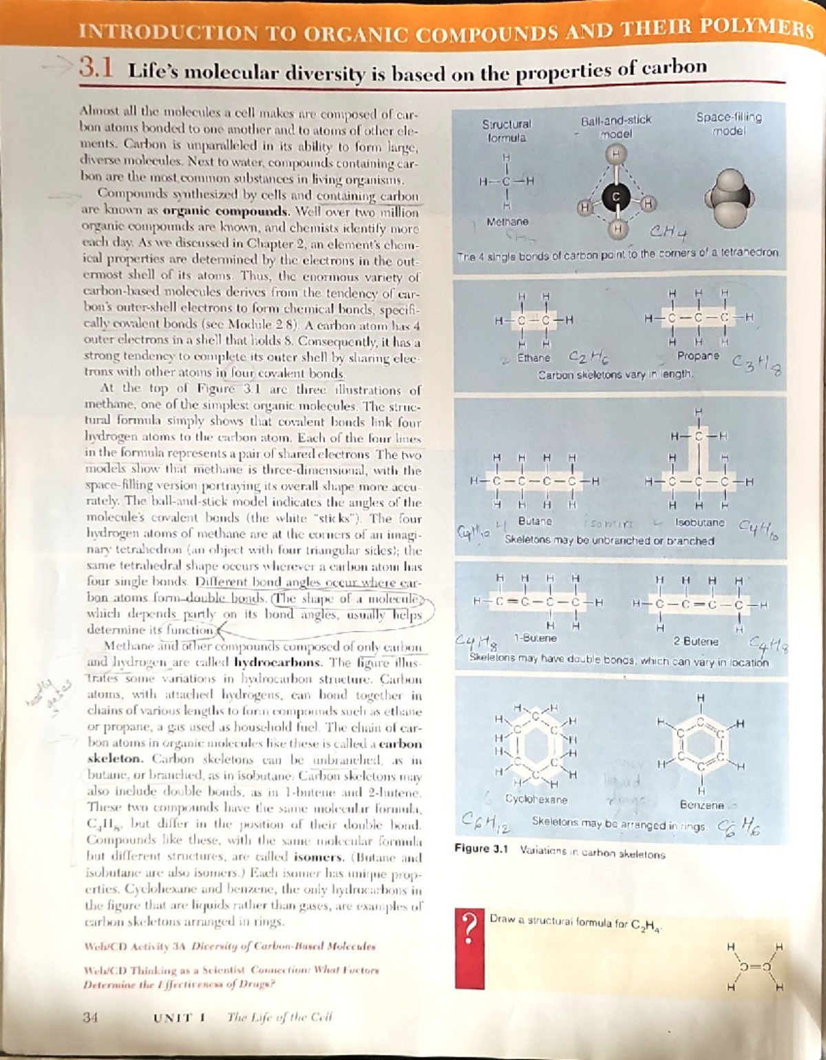 Organic Compounds and Polymers: Molecular Diversity and Functional Groups (BIO - Studocu