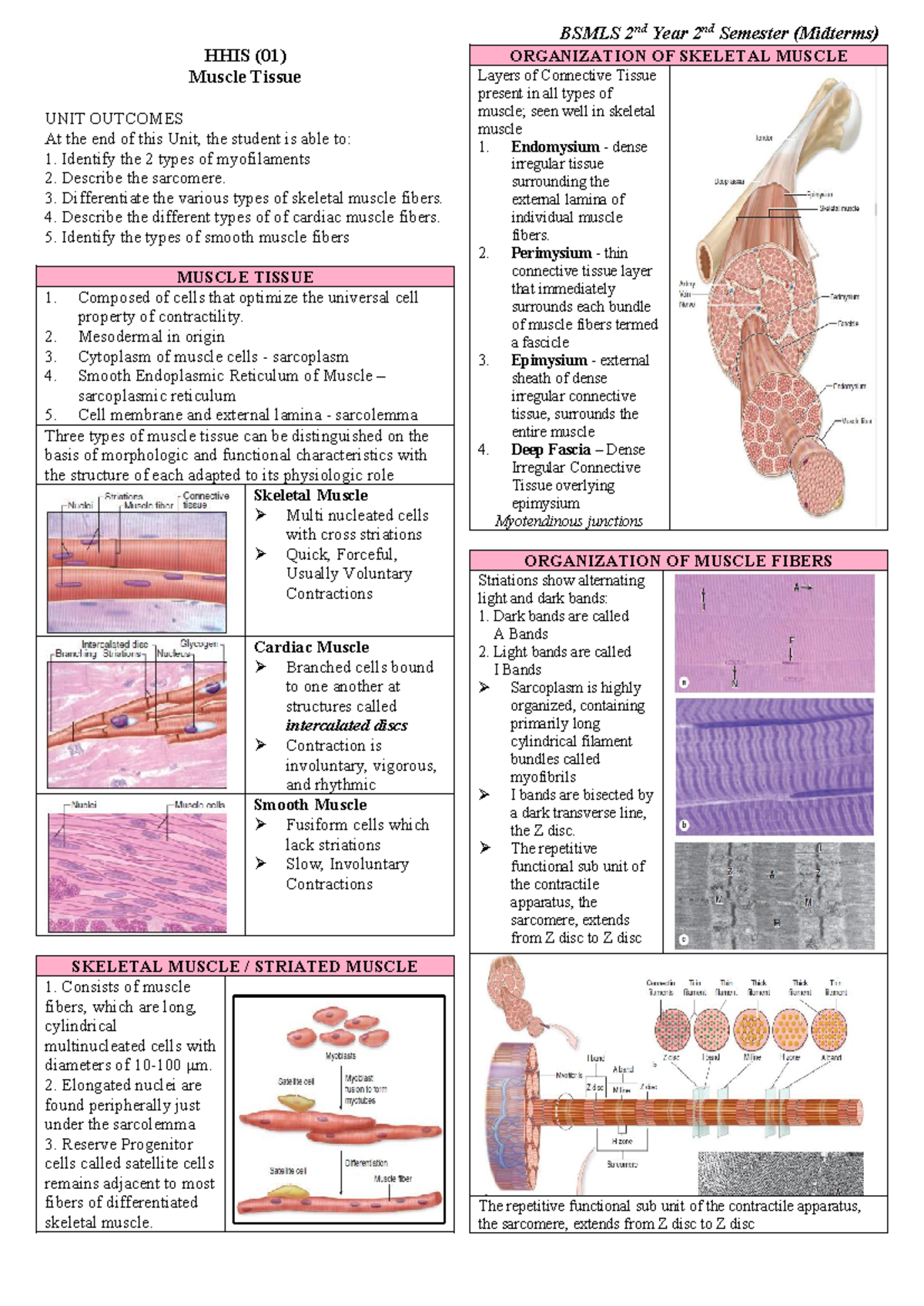HHIS (01) Muscle Tissue - HHIS (01) Muscle Tissue UNIT OUTCOMES At the end of this Unit, the ...