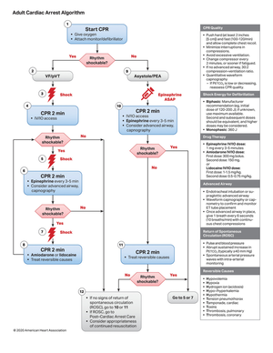 [Solved] make a pathophysiology of this case G4P4 4004 OVARIAN NEW ...
