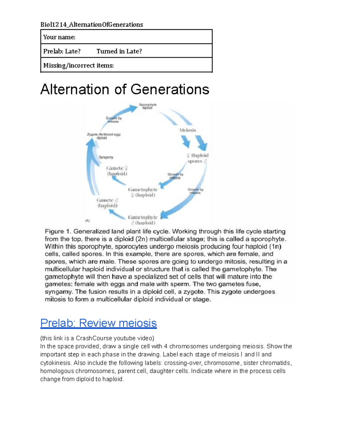 Biol1214_Prelab: Alternation of Generations Overview and Diagrams - Studocu