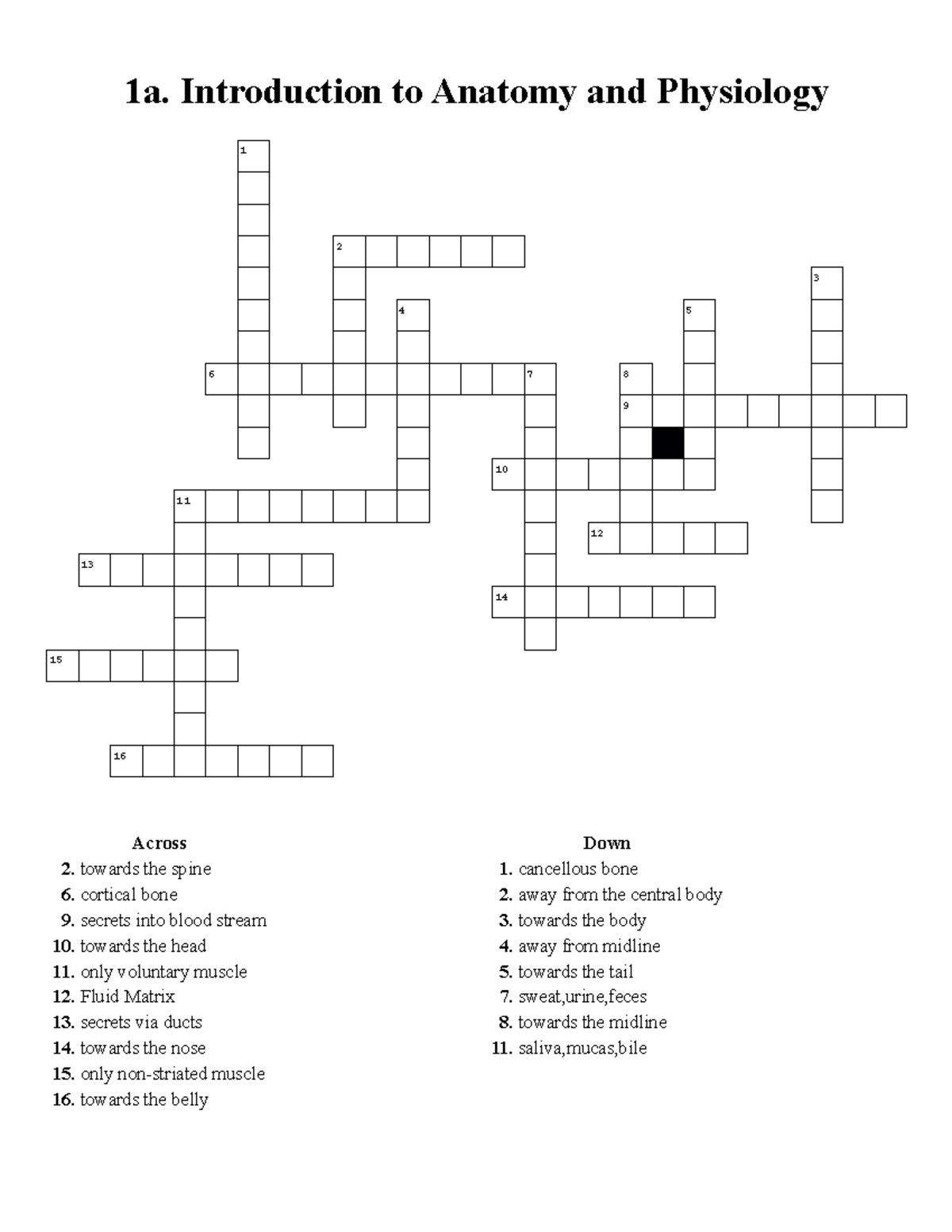 Anatomy and Physiology Crossword Puzzle: Key Terms and Definitions - 1a ...
