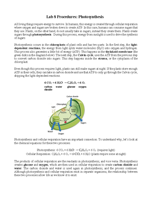 Exploring Photosynthesis Pigments Lab Report - Exploring Photosynthesis ...