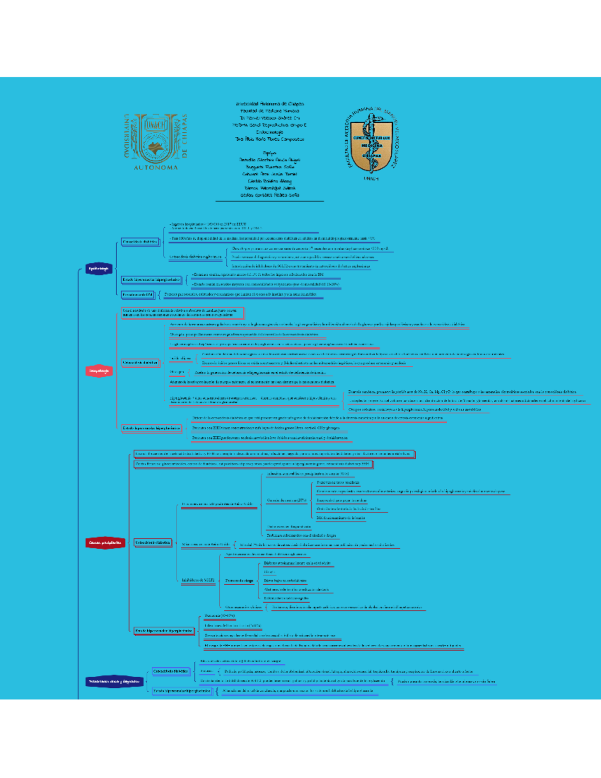 ENDO CS CAD-EHH: Comprehensive Strategies for Effective Care Management - Studocu