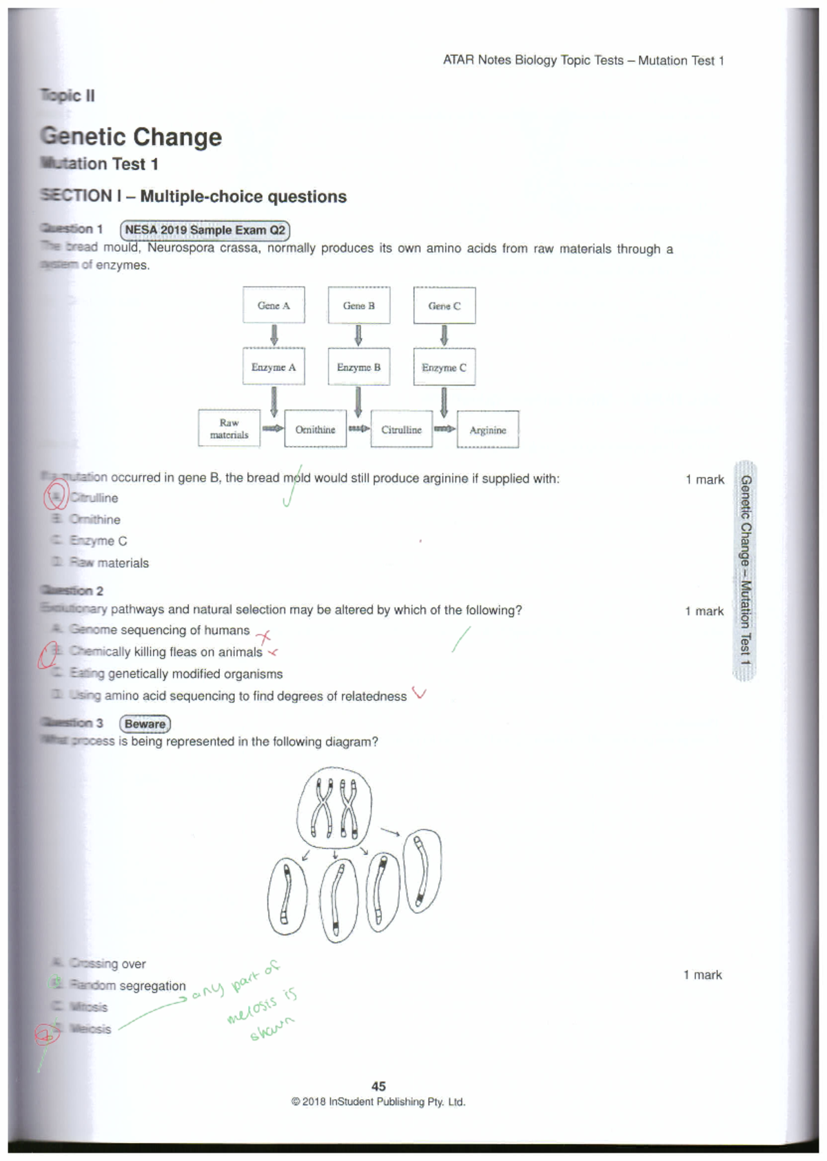 Genetic Change Questions: ATAR Biology Mutation & Biotechnology Tests ...