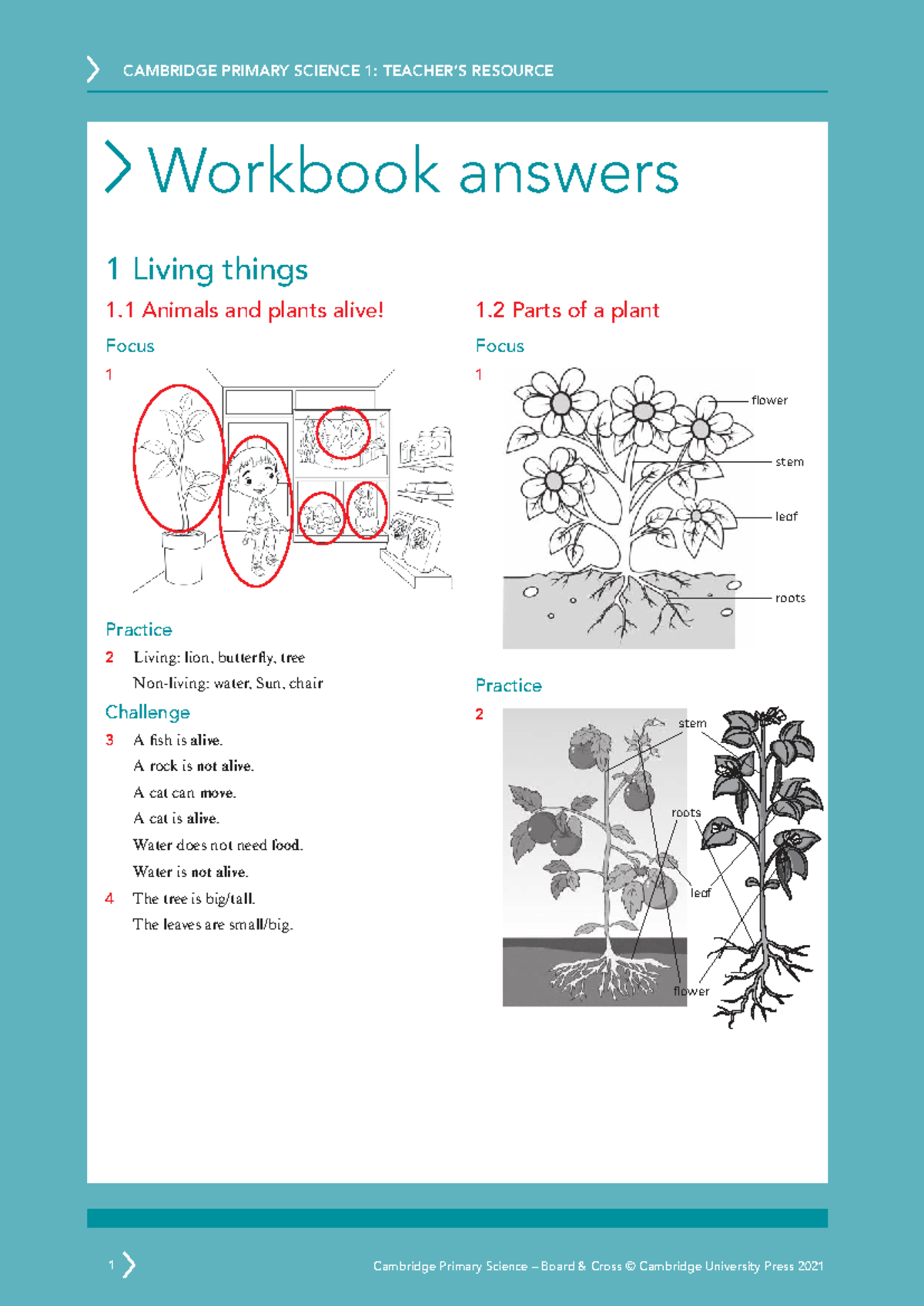 CAMBRIDGE PRIMARY SCIENCE 1: RESOURCE Workbook Answers and Insights ...
