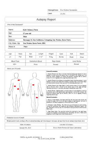 Revised incident record form for Philippine National Police ...