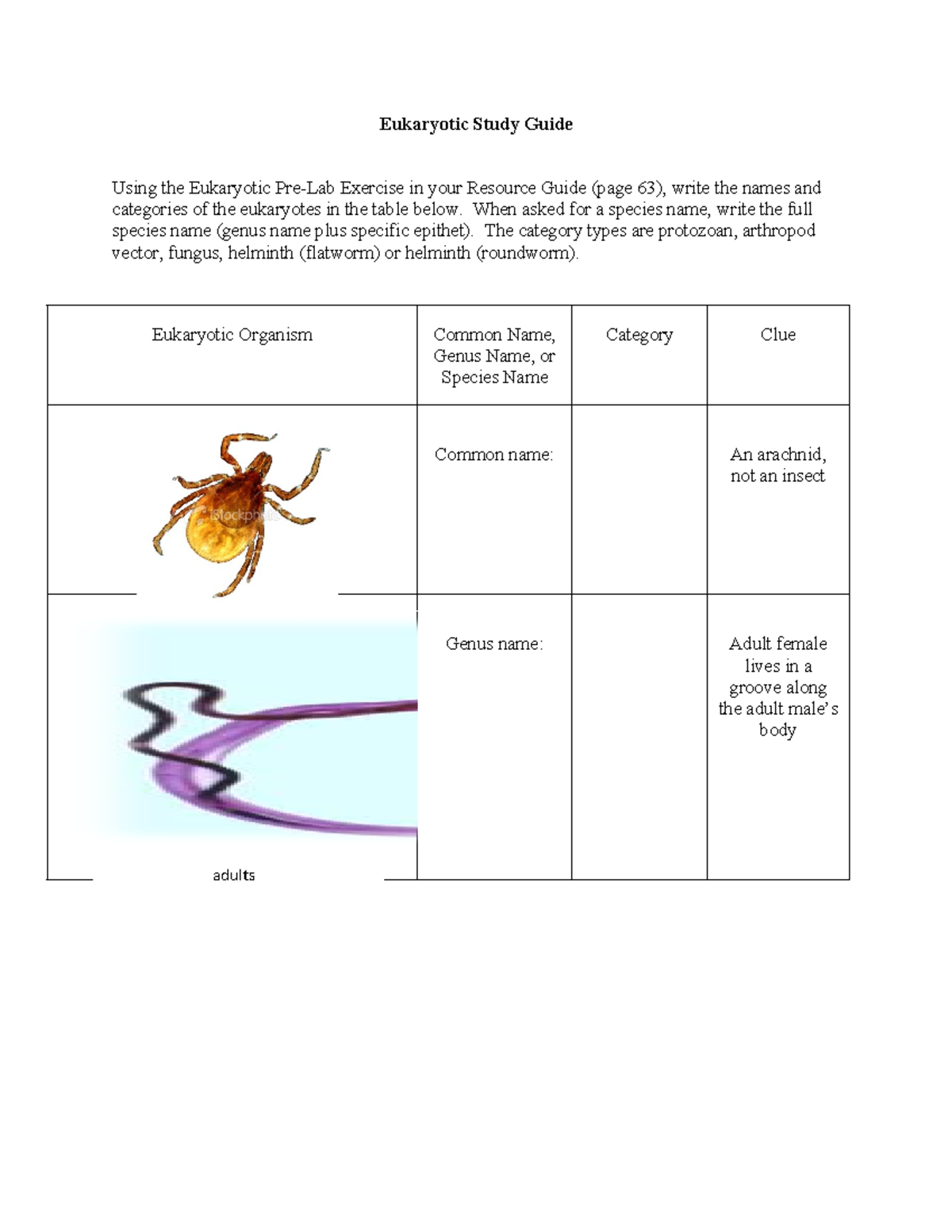 Eukaryotic Study Guide: Organism Categories & Species Names - Studocu