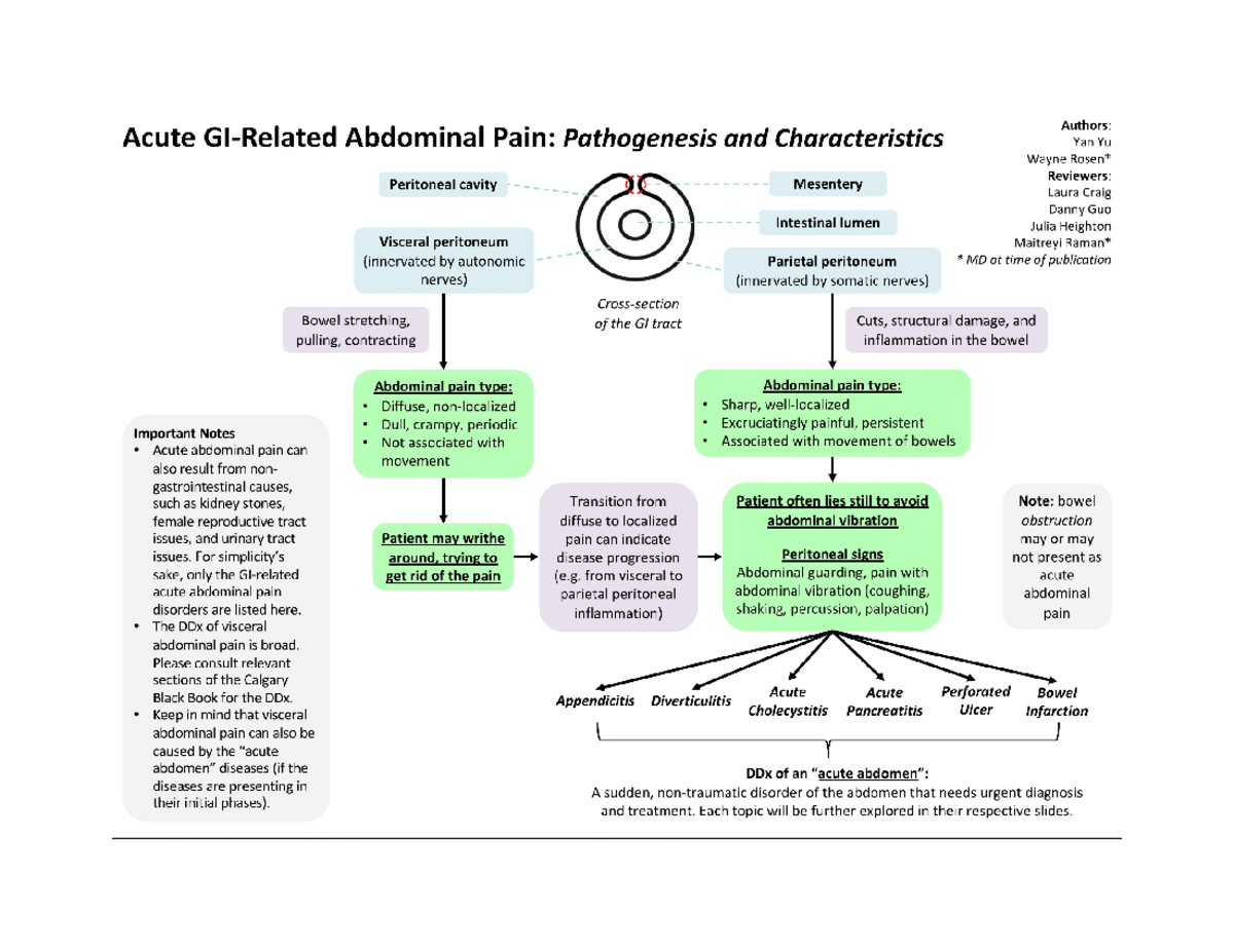 Acute Abdominal Pain: Concept Map and Key Characteristics - Studocu