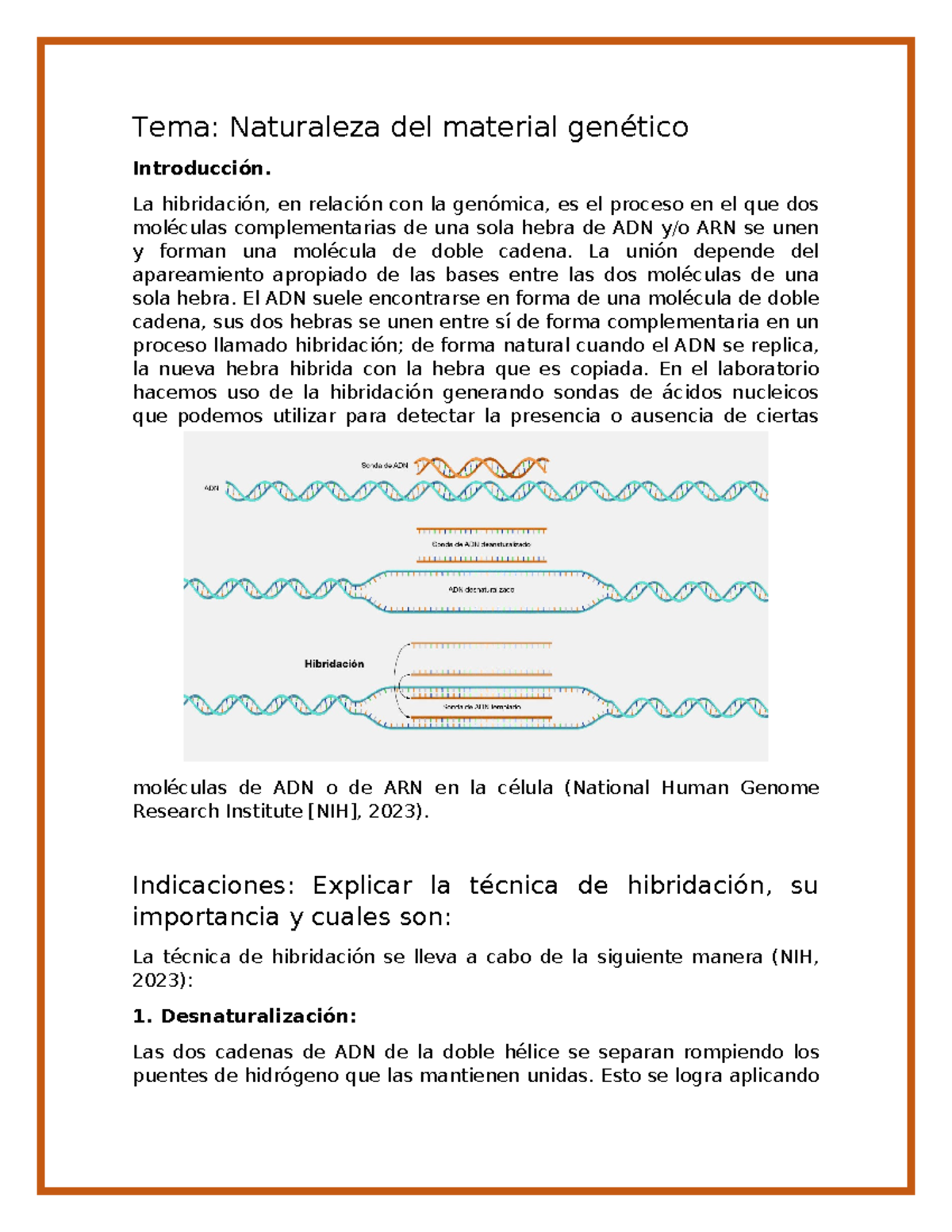 Tema: Técnicas de Hibridación en Genética Molecular - Studocu