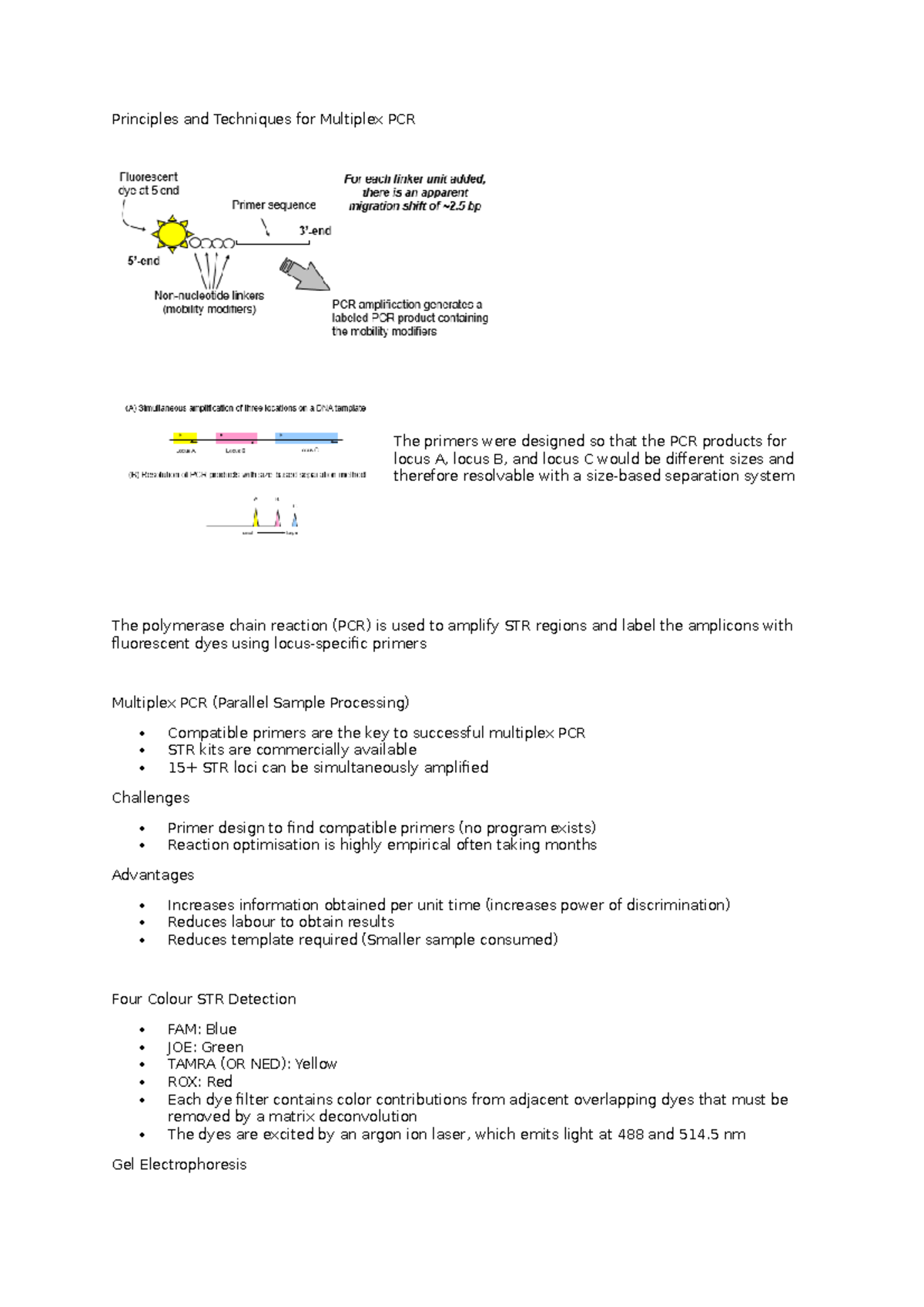 PCR Techniques and Principles for Multiple STR Analysis - Studocu