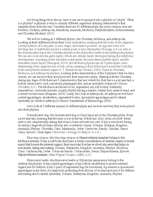 [Solved] Discuss the history of Stark II including its impact on the ...