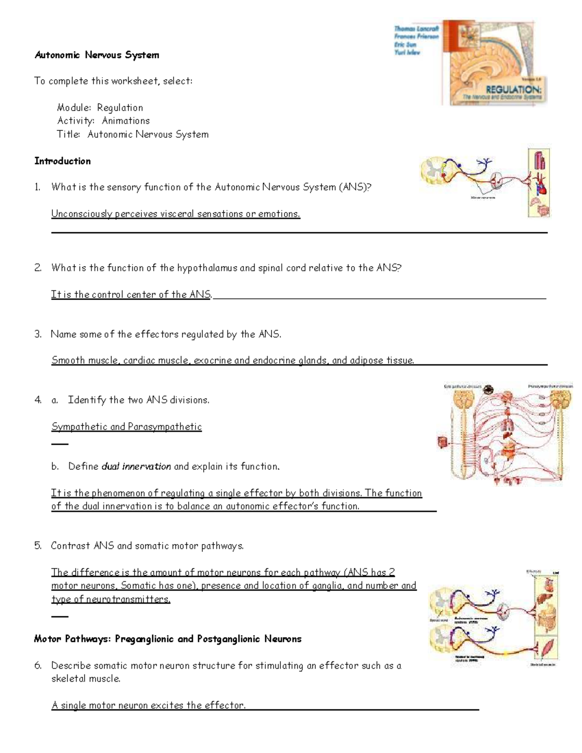 CH15 Autonomic Nervous System Overview and Key Functions - Studocu