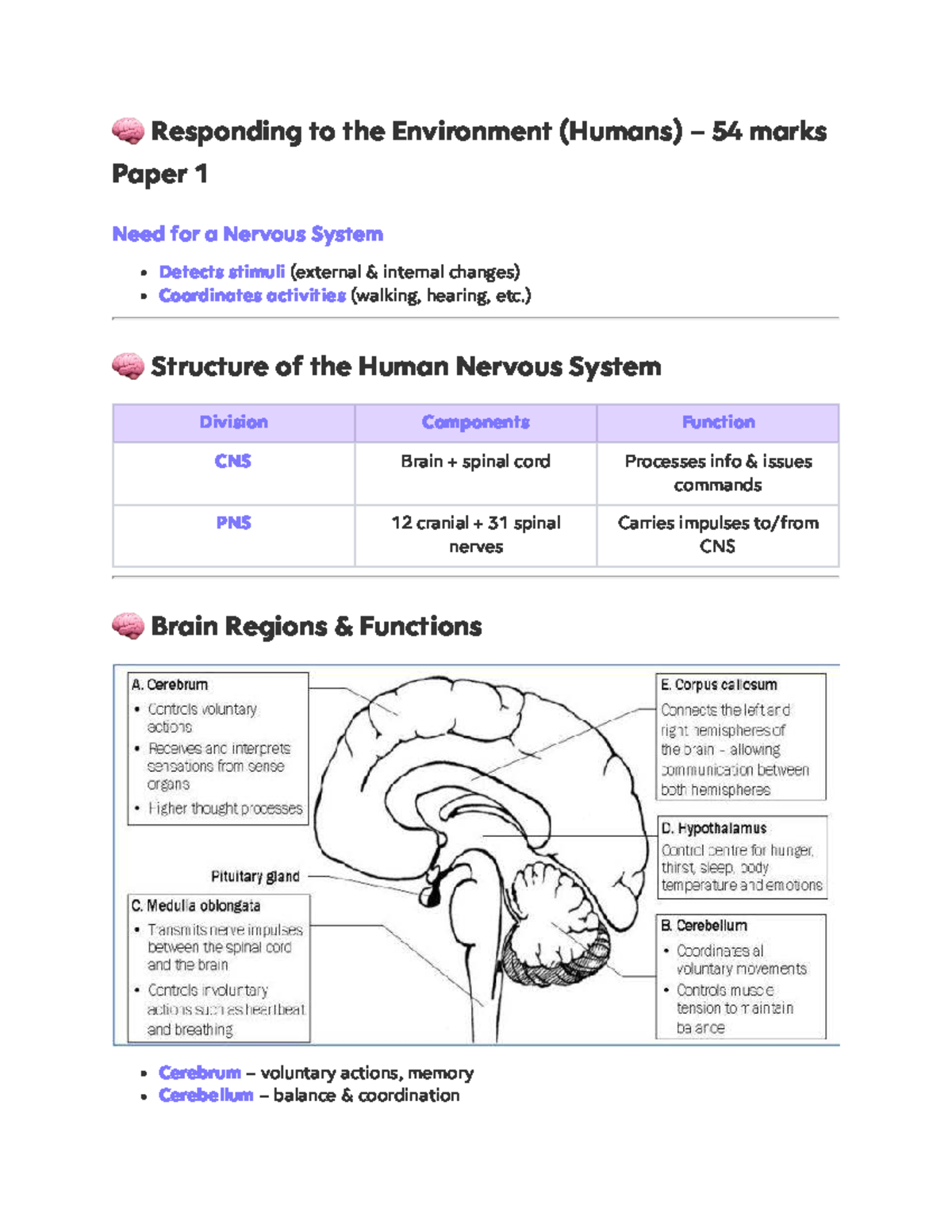 Human Physiology: Nervous, Endocrine & Genetics Overview (54 Marks ...